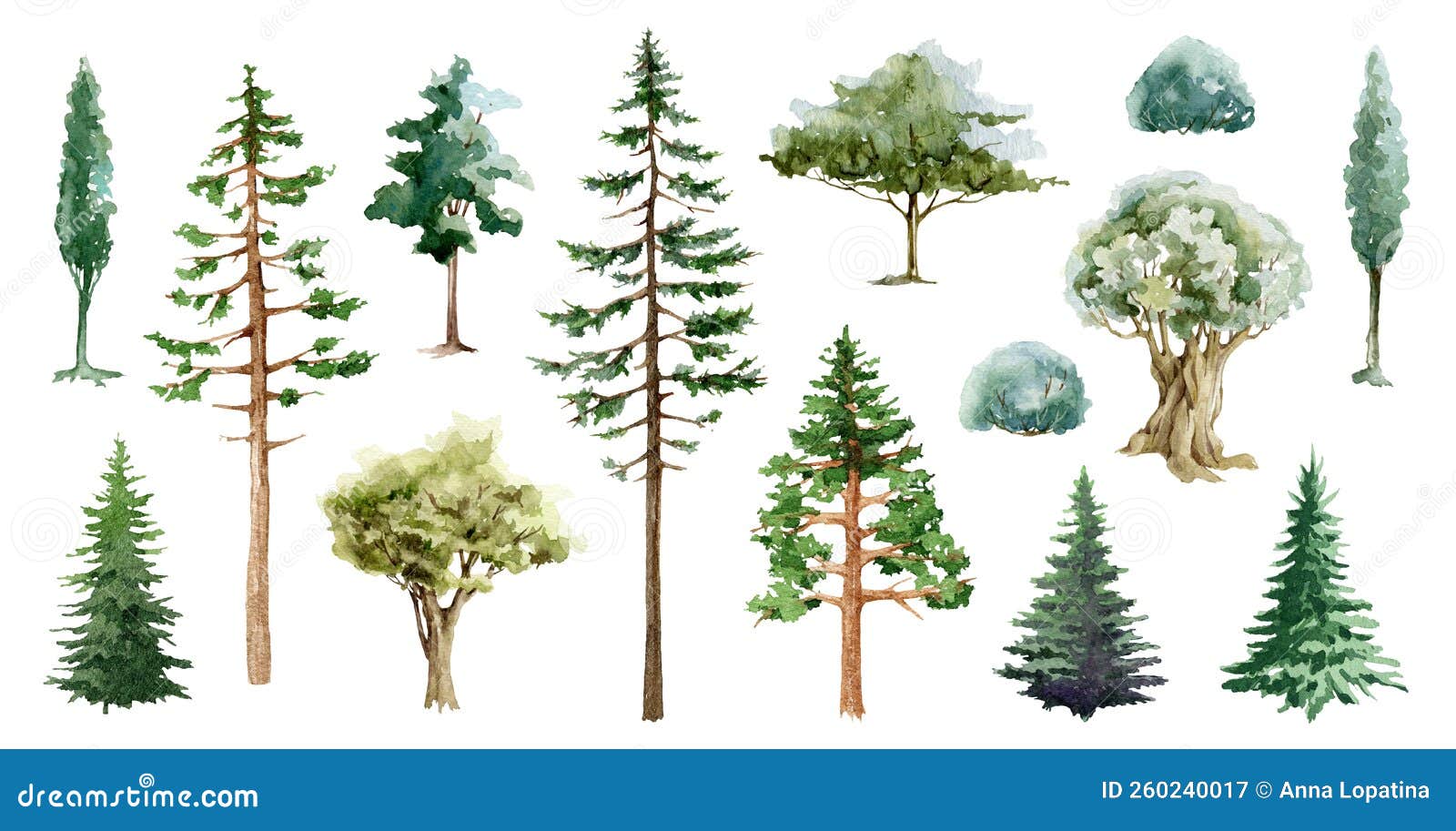 Tree Different Types Watercolor Illustration Set. Various Forest and ...