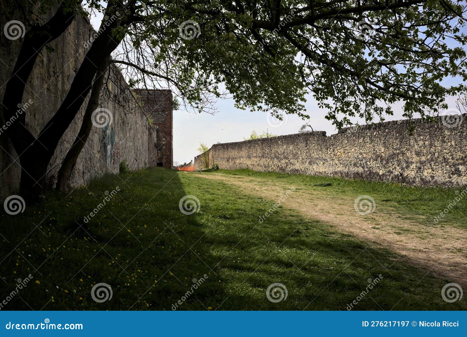 Tree in a Dirt Path between Boundary Walls in a Park by the Hillside ...