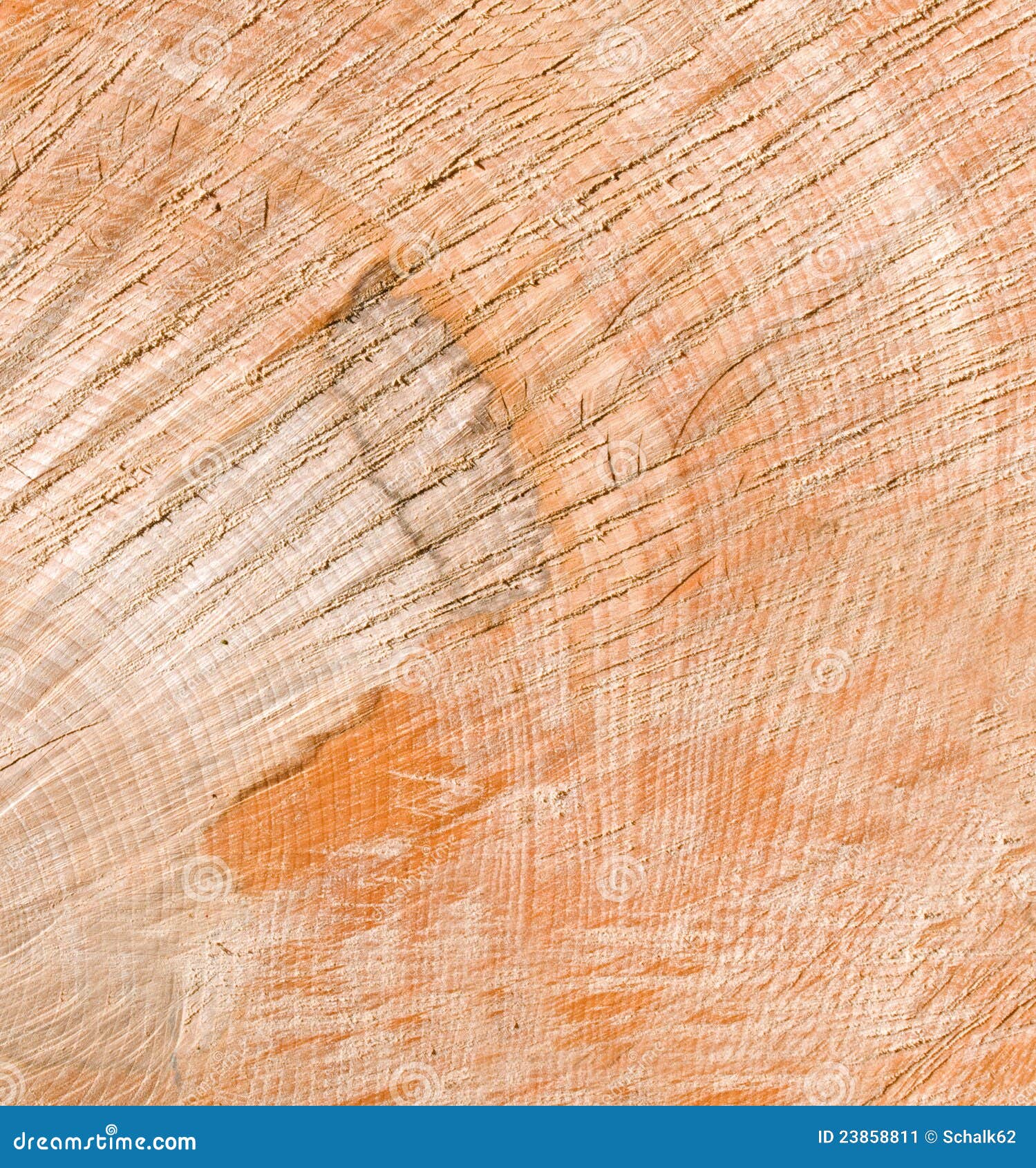 Tree Disc stock image. Image of ground, material, wallpaper - 23858811