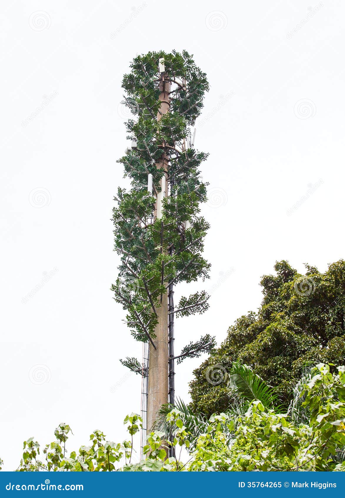 Tree in Disguise Power Pole Stock Image - Image of visual, camouflage ...