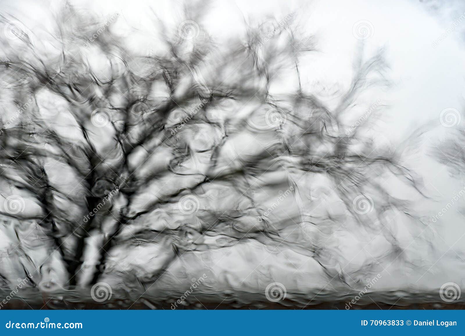 Tree Distorted by Rain on Window Stock Image - Image of abstract ...