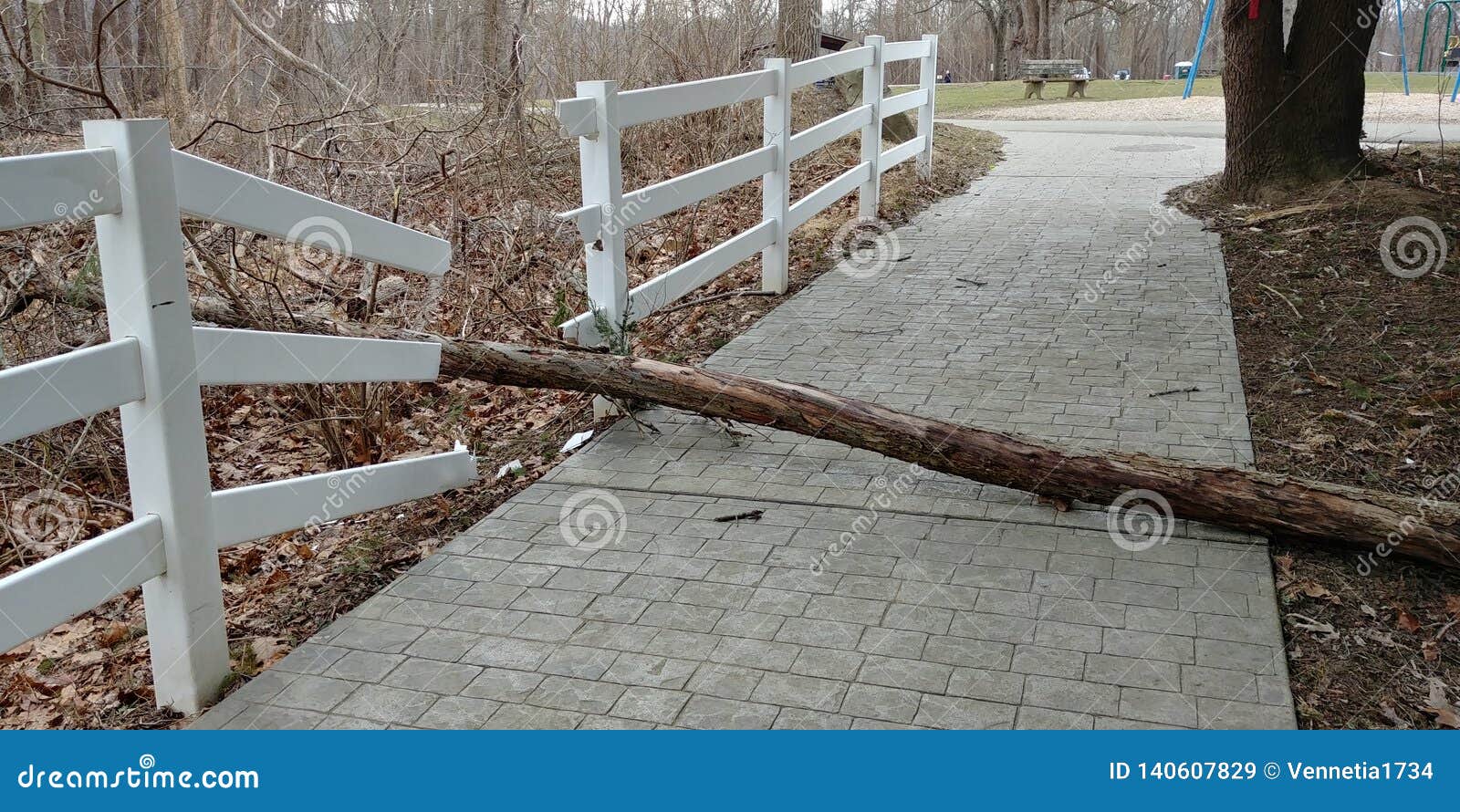 Tree down on fence stock image. Image of damaged, fence - 140607829