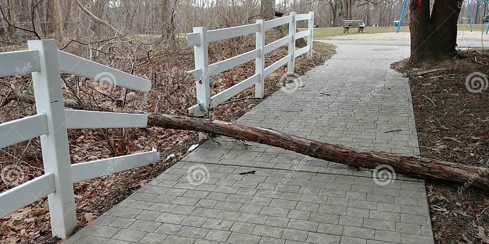 Tree down on fence stock image. Image of damaged, fence - 140607829