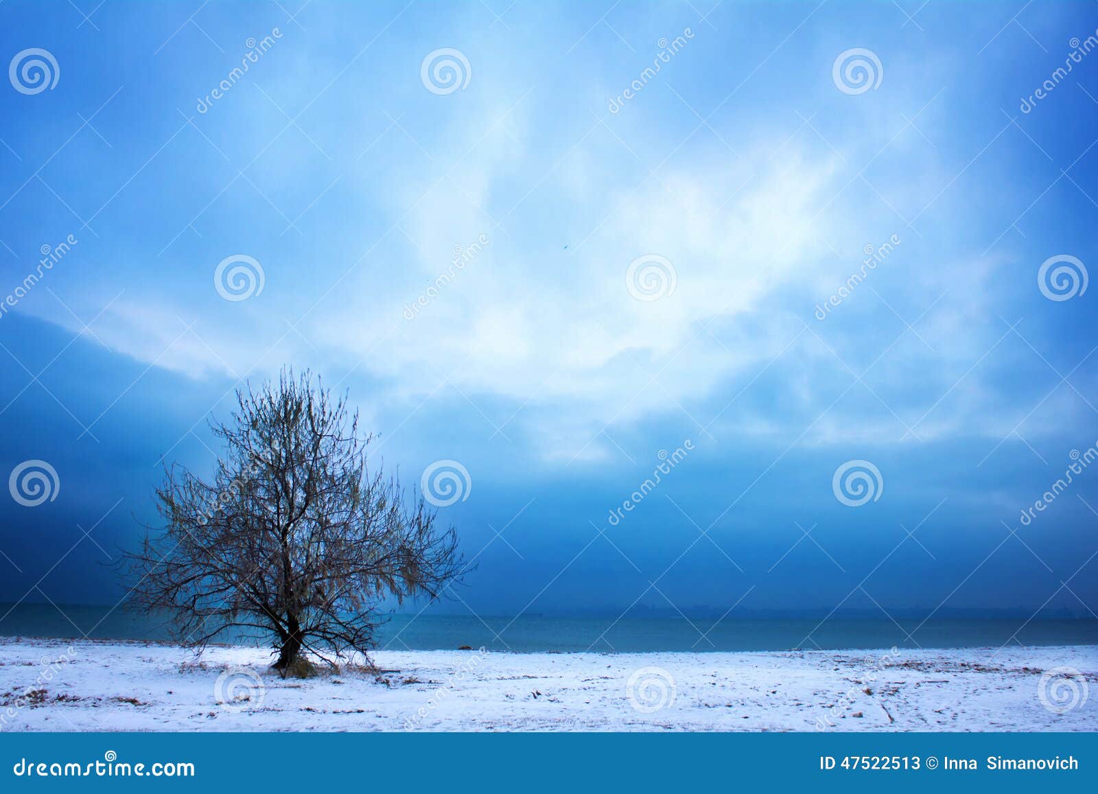 Tree and dramatic sky stock image. Image of nature, weather - 47522513