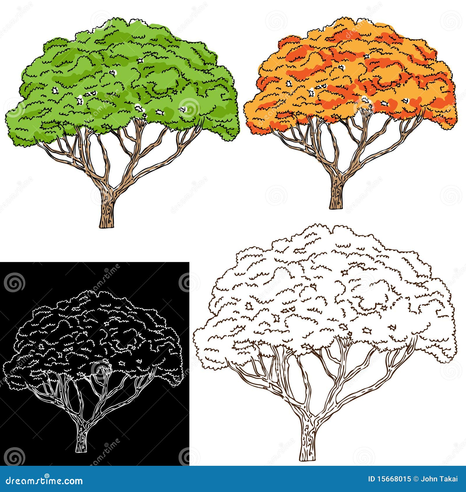 Tree Drawing stock vector. Illustration of trees, design - 15668015
