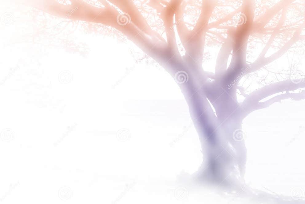 Tree of dreams stock illustration. Illustration of fantasy - 40155775