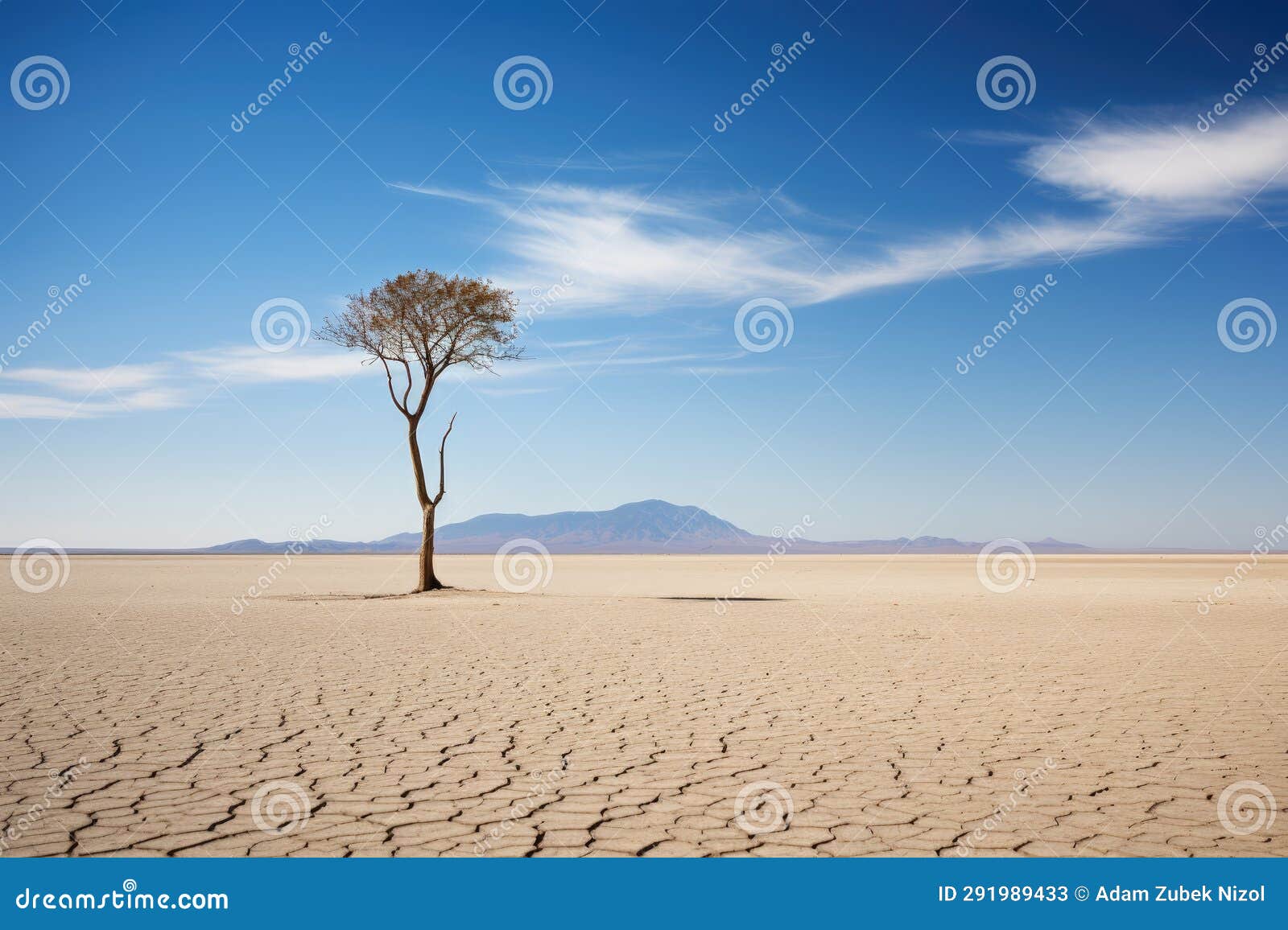 A tree in a dry desert stock illustration. Illustration of desert ...