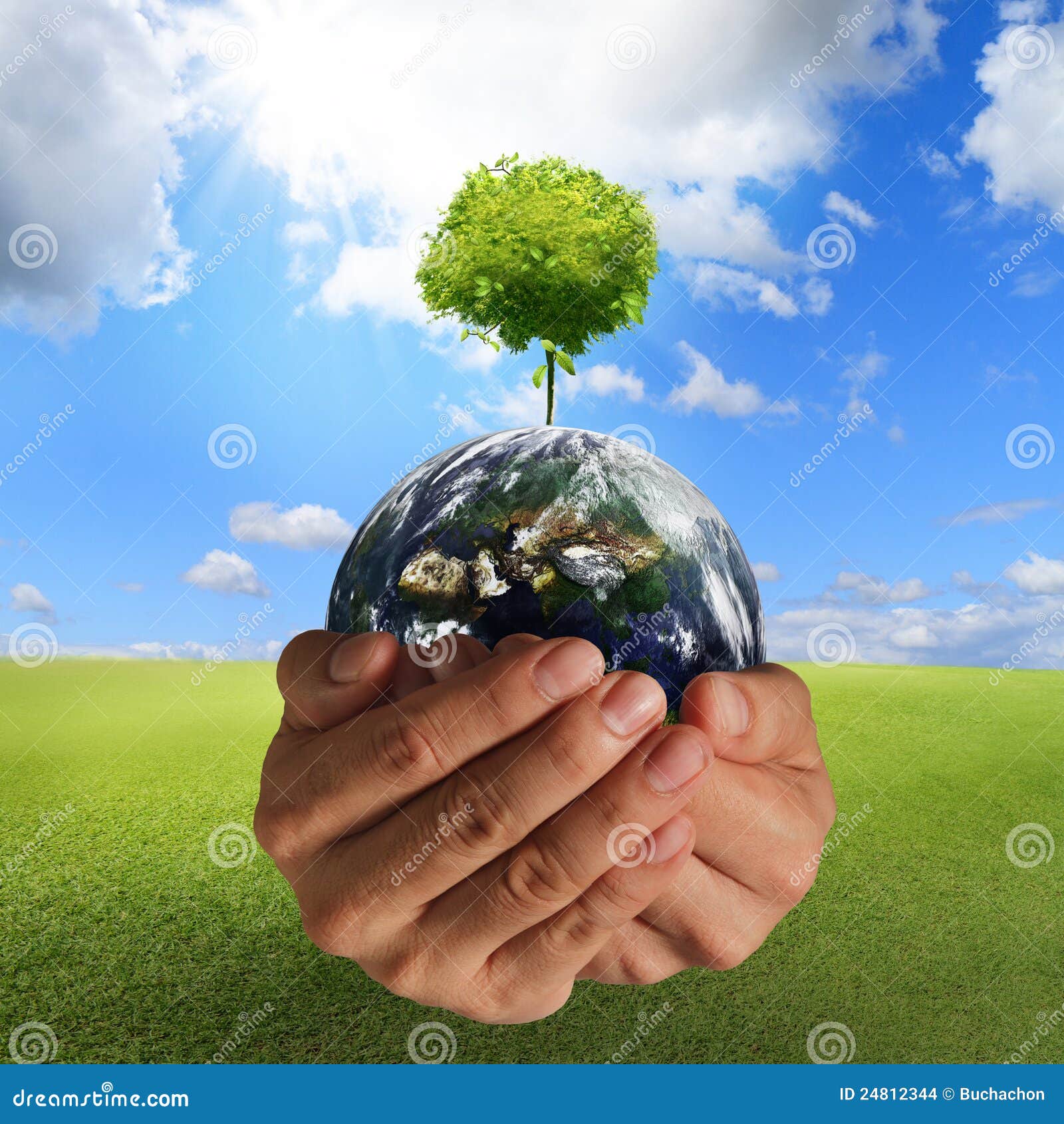 Earth Globe Root Tree Photos - Free & Royalty-Free Stock Photos from ...