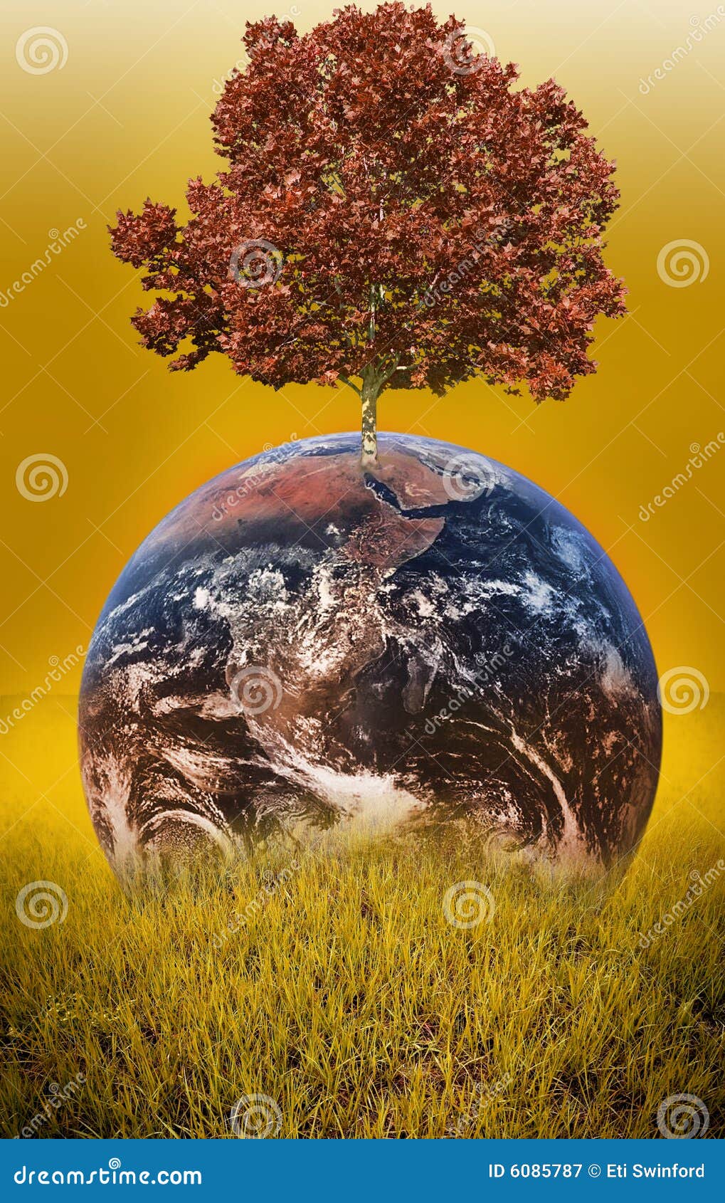 Tree on earth stock image. Image of terra, nature, globe - 6085787