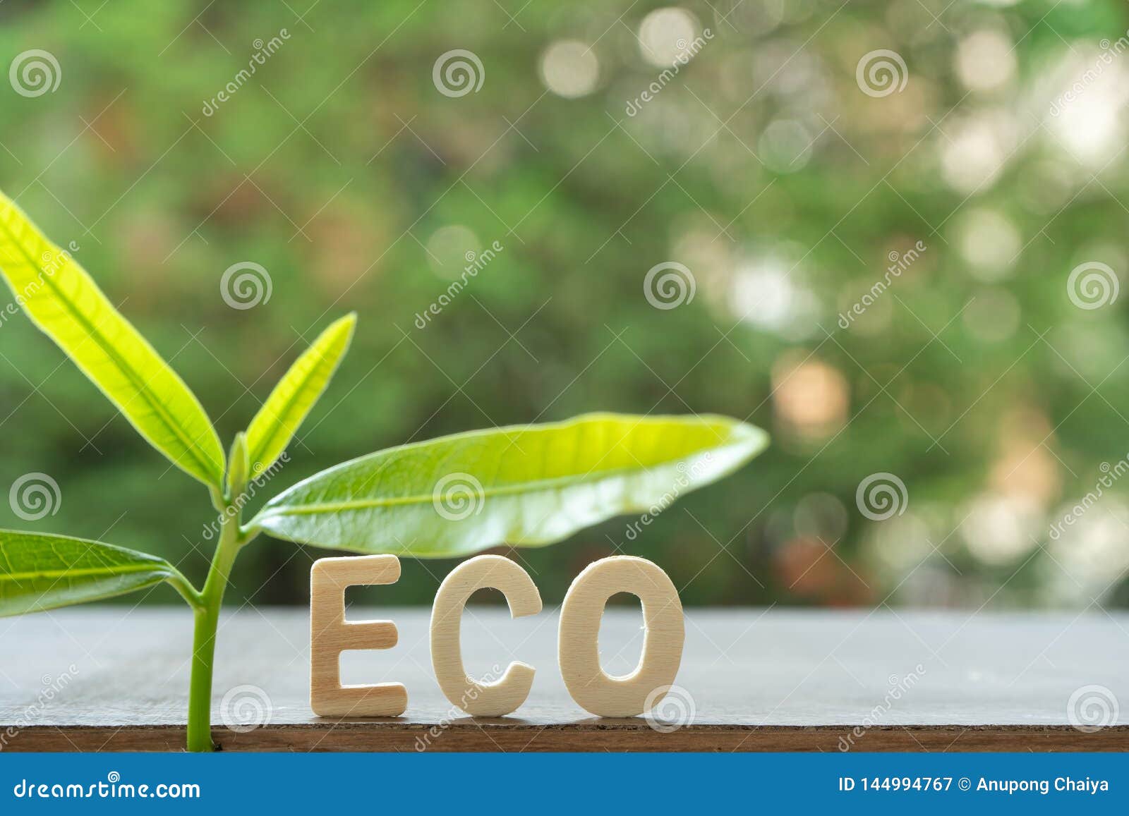 Tree, Eco Tex with Green Background Stock Image - Image of green ...