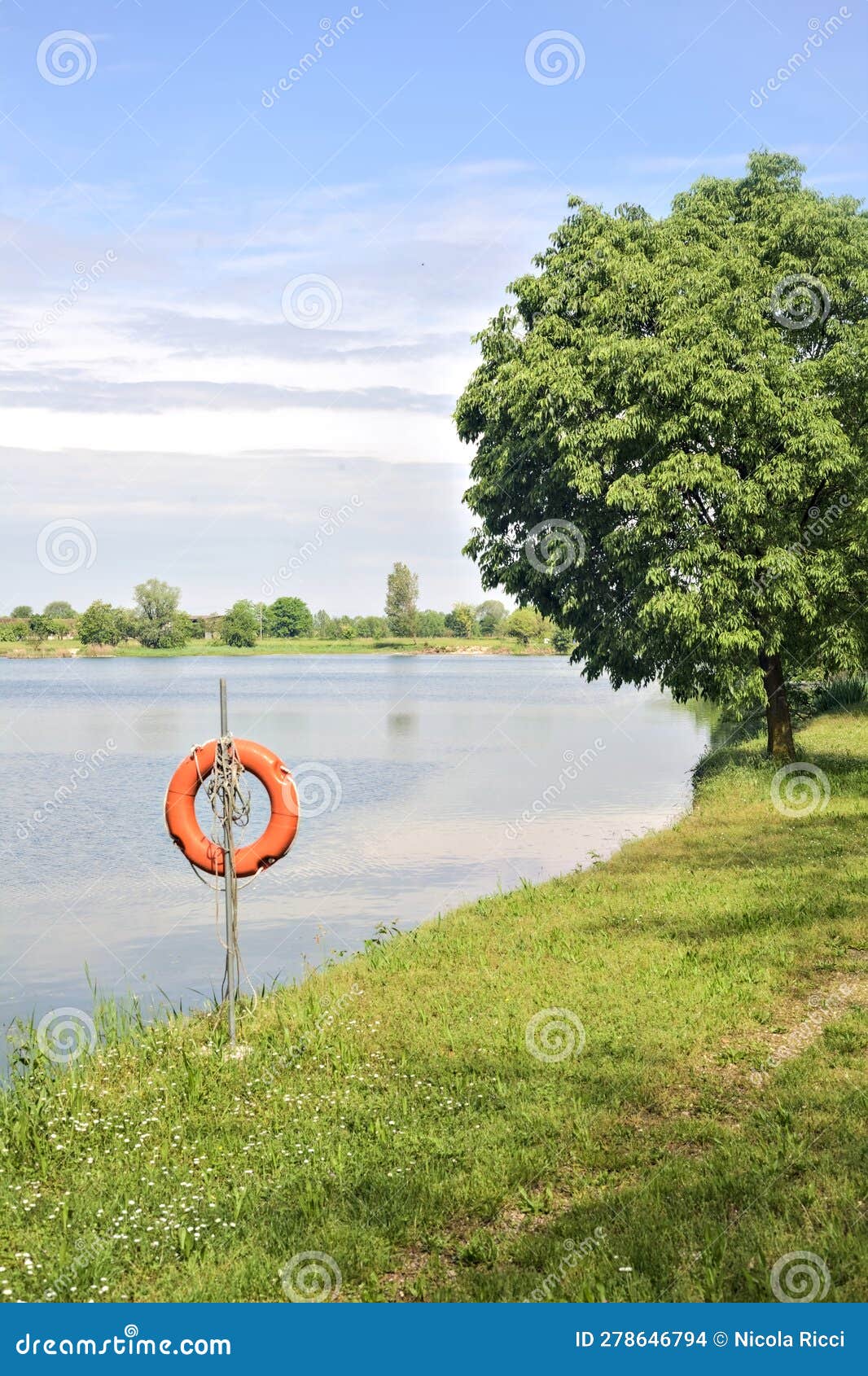 Tree by the Edge of a Basin in the Italian Countryside Stock Photo ...