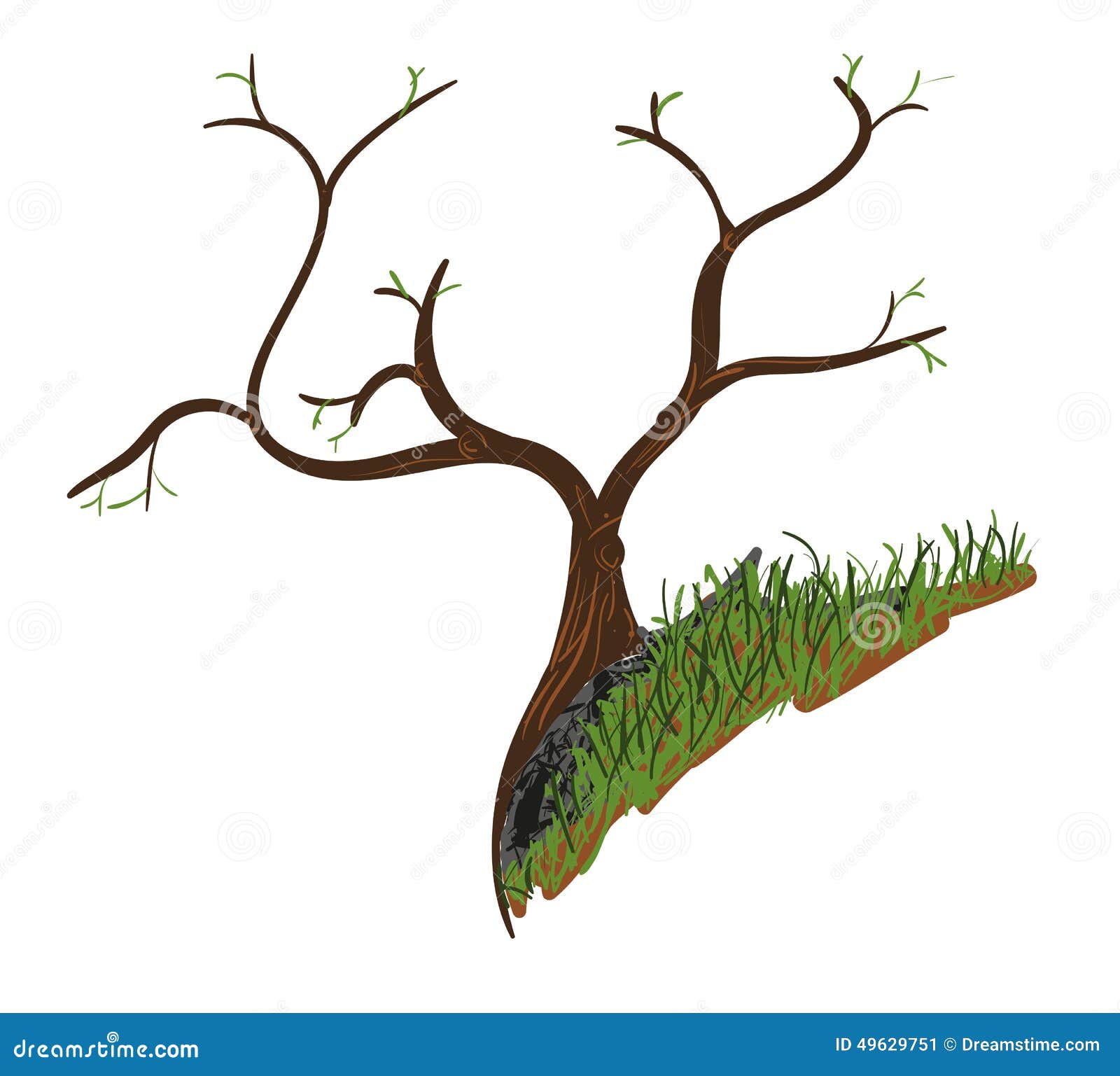 Tree on the Edge stock vector. Illustration of outdoors - 49629751