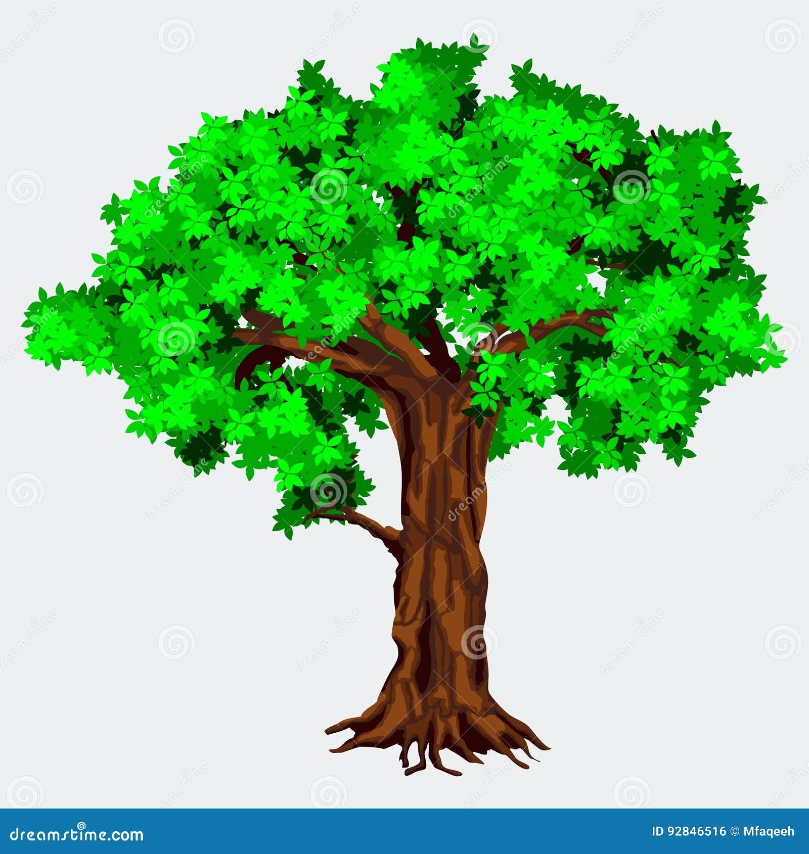 Isolated Detailed Dense Tree Vector Illustration Stock Vector ...