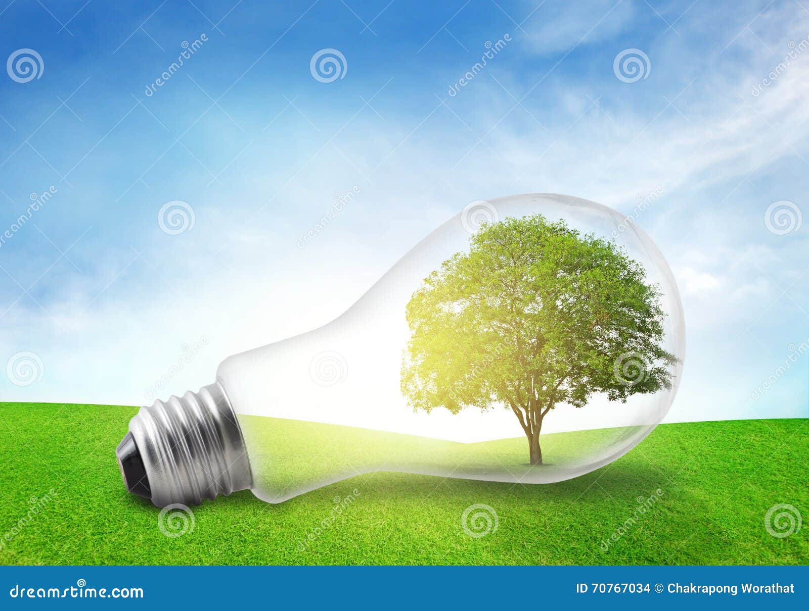 Tree in Electric Bulb on Grassland. Eco Energy Concept. Stock Photo ...