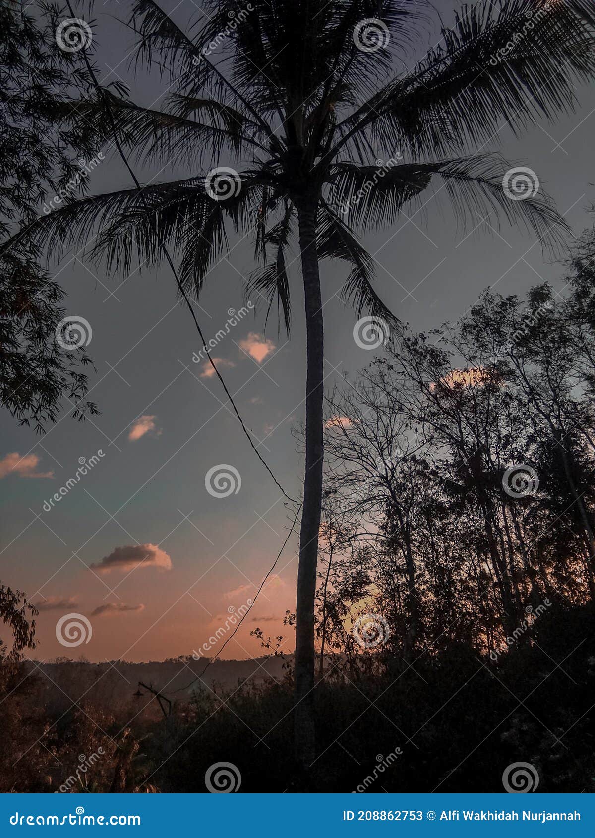 Tree Evening Cloud Beautiful Sunset Dust Stock Image - Image of sunset ...