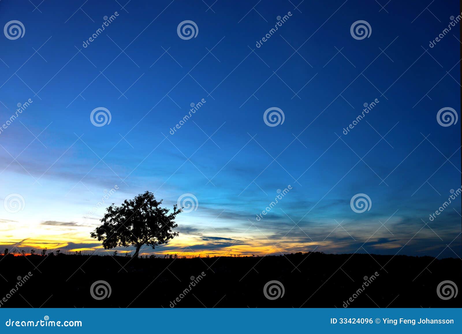 Tree in evening landscape stock photo. Image of tree - 33424096