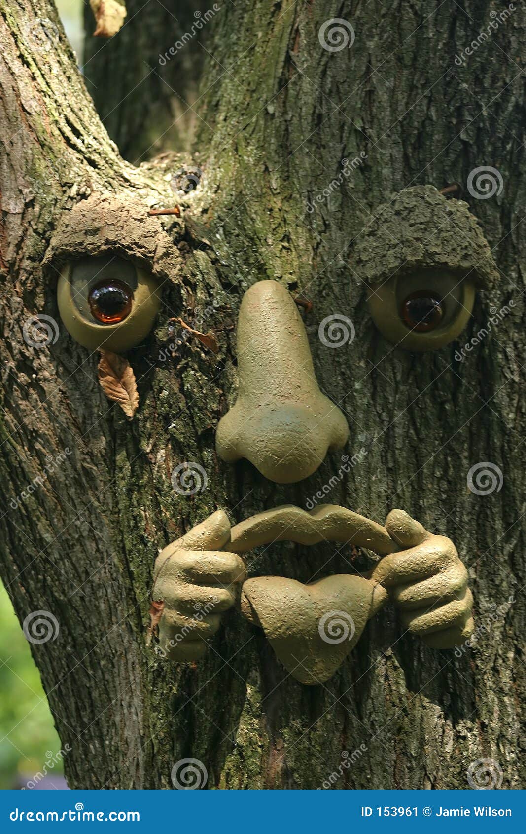Tree Face stock image. Image of trunk, tear, leaf, weird - 153961