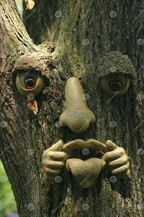 Tree Face stock image. Image of trunk, tear, leaf, weird - 153961