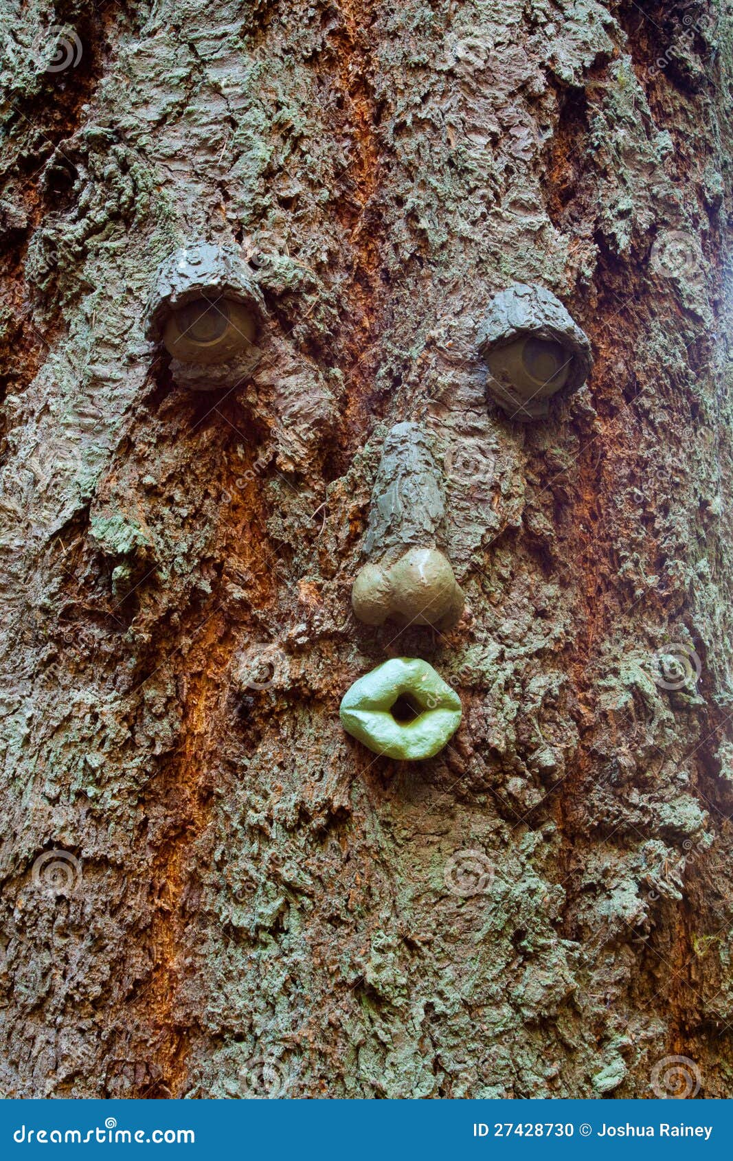 Tree Face stock photo. Image of trees, nose, face, faces - 27428730