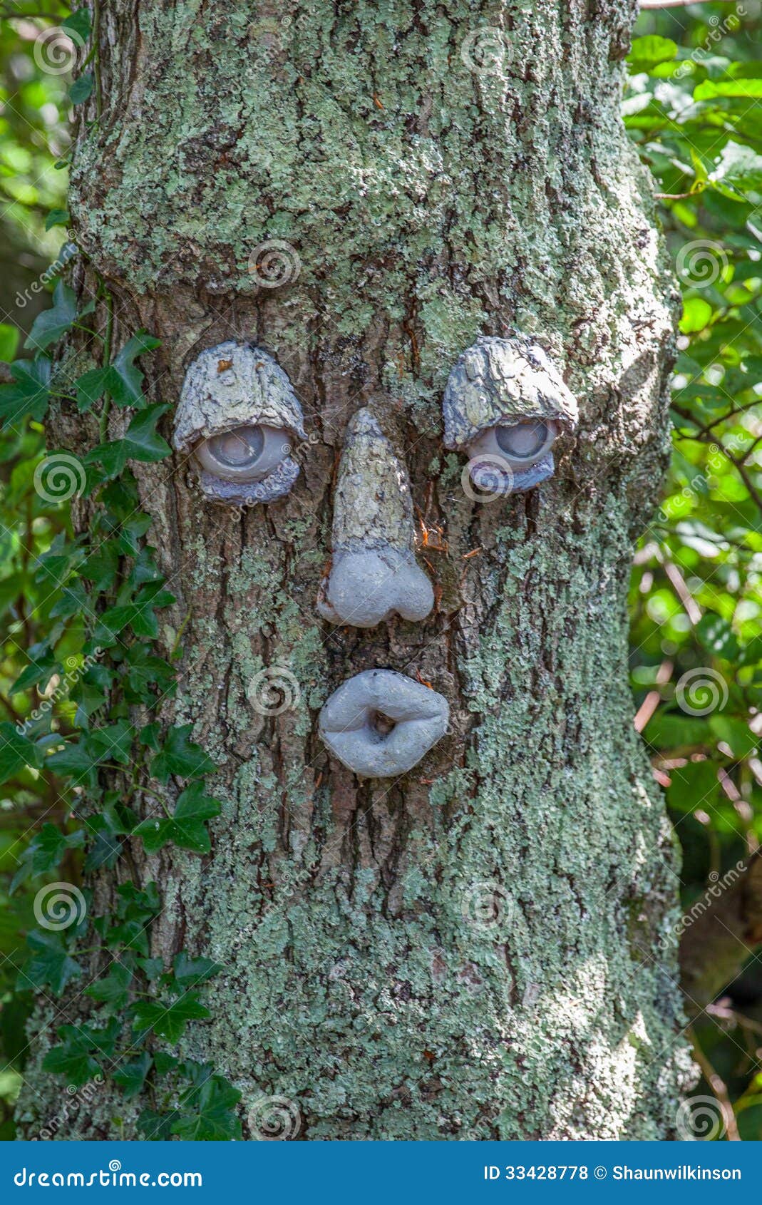 Tree face stock photo. Image of leaves, nature, tree - 33428778
