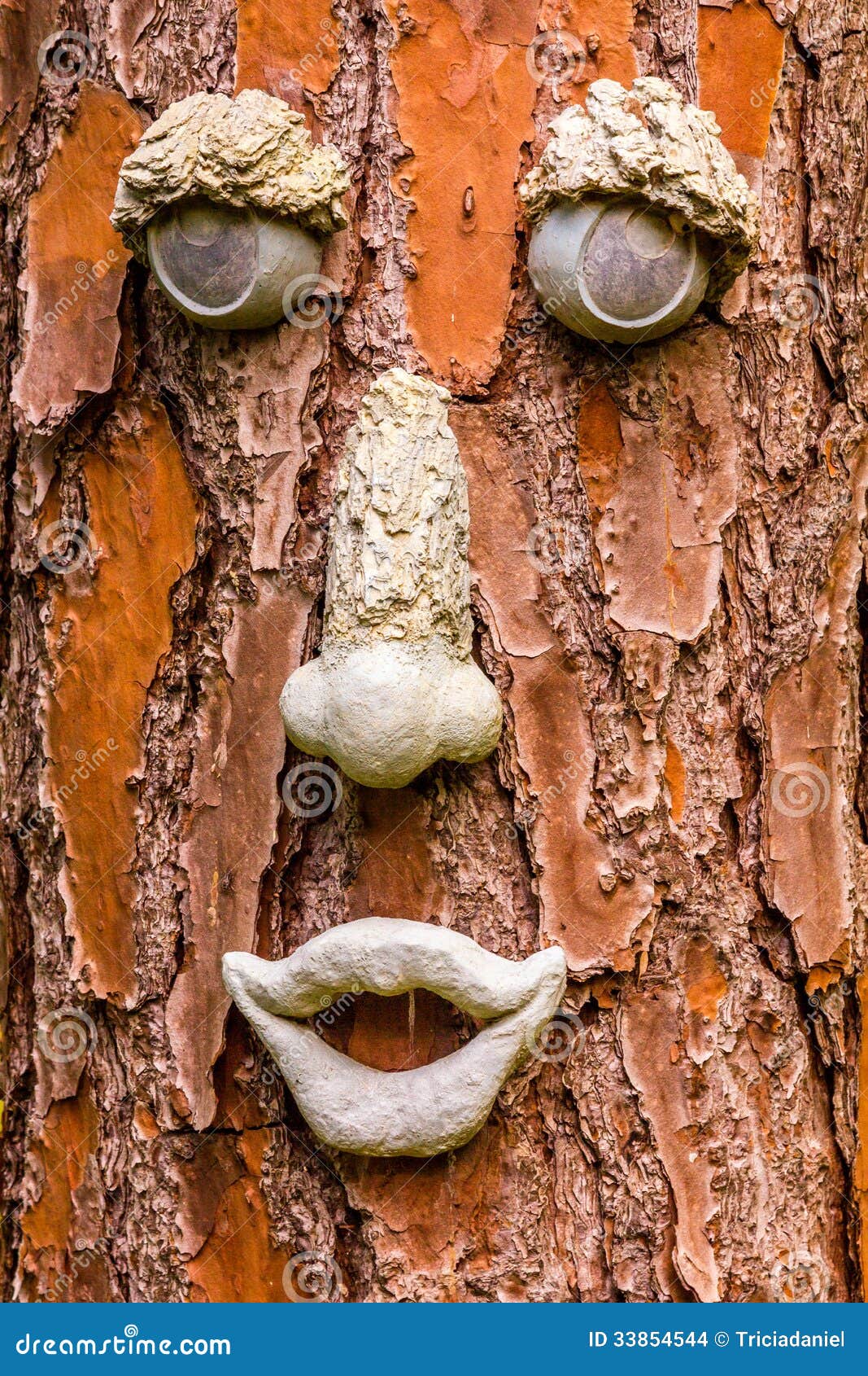 Tree Face stock photo. Image of ghost, mythical, haunted - 33854544
