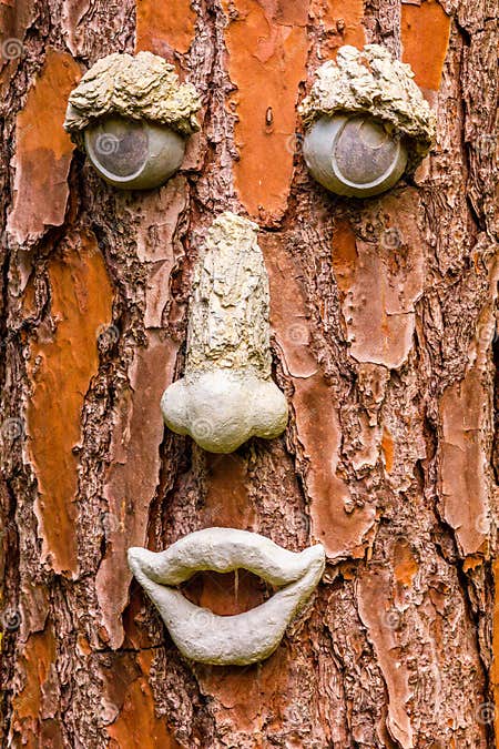 Tree Face stock photo. Image of ghost, mythical, haunted - 33854544