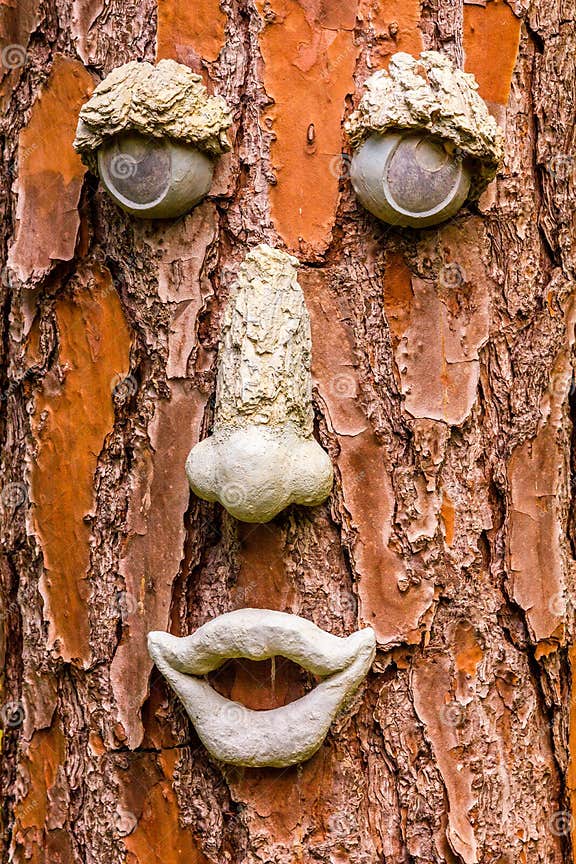 Tree Face stock photo. Image of ghost, mythical, haunted - 33854544