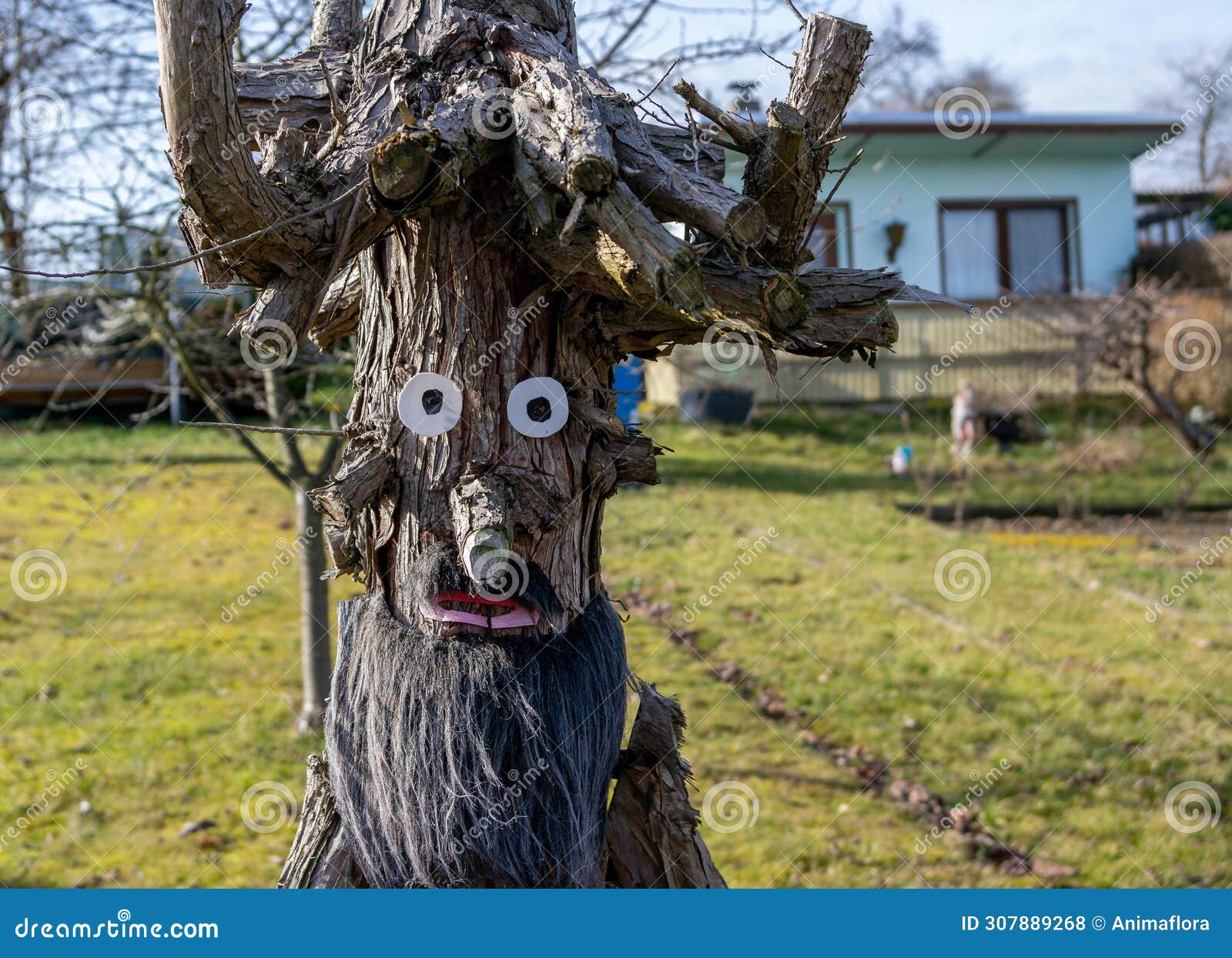 Tree Faces and Forest Spirits in a Garden Stock Photo - Image of ...