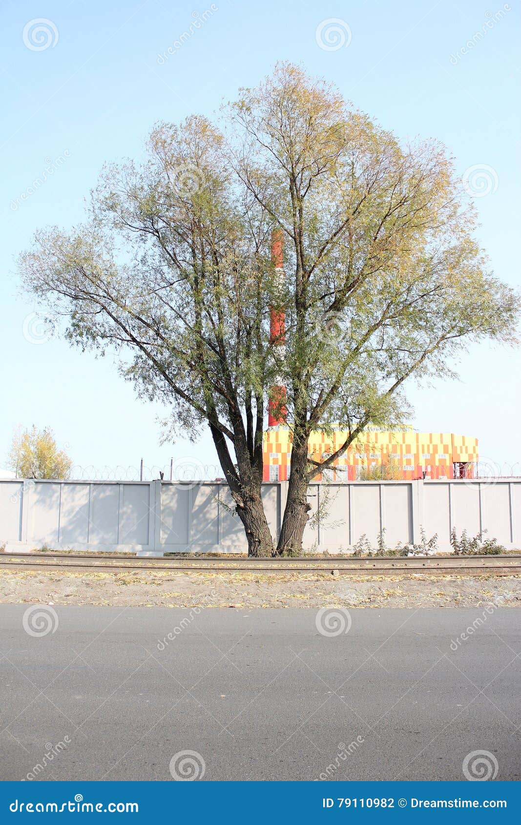 The tree on factory stock photo. Image of thermal, tree - 79110982