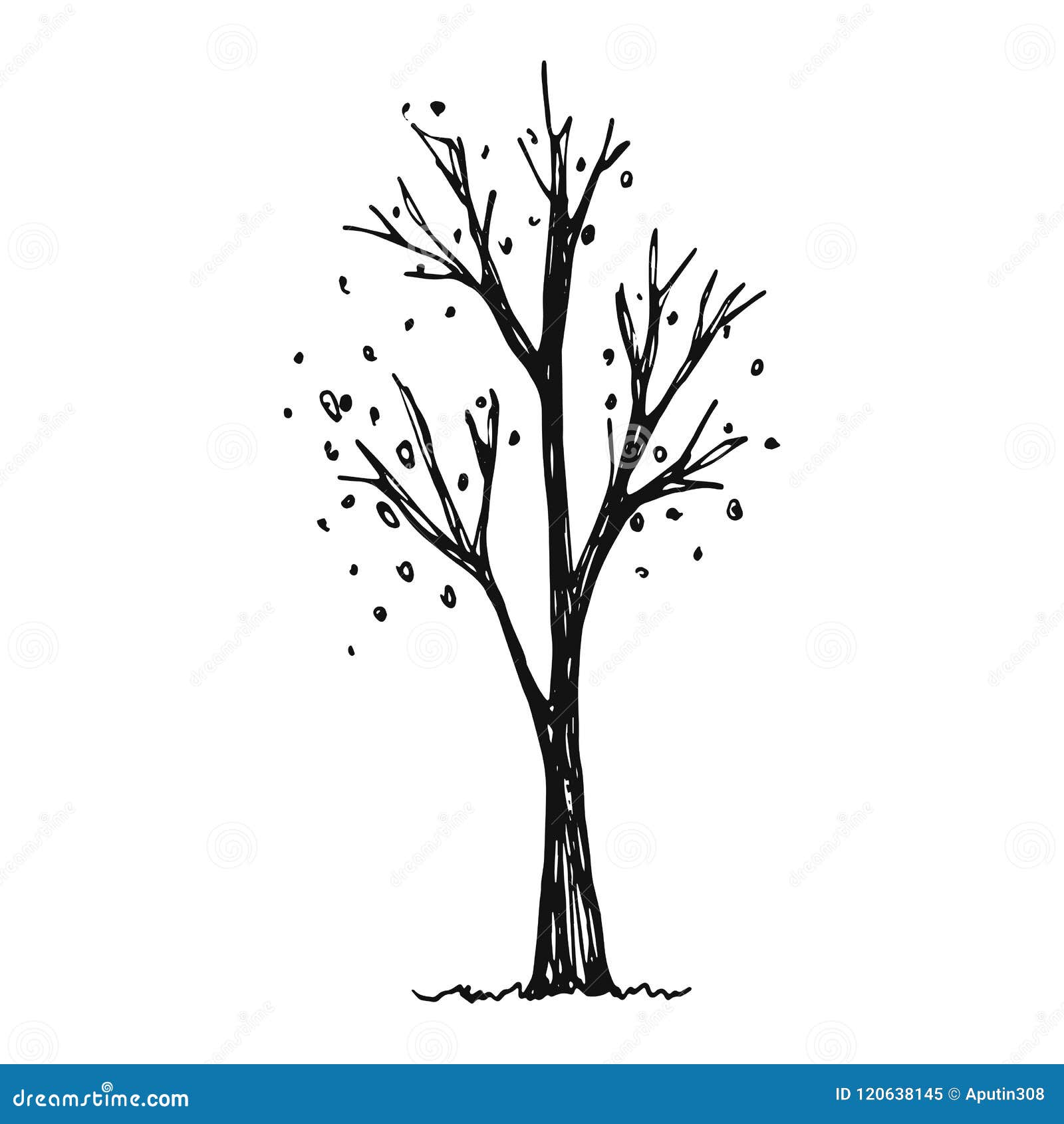 Tree With Falling Leaves Drawing