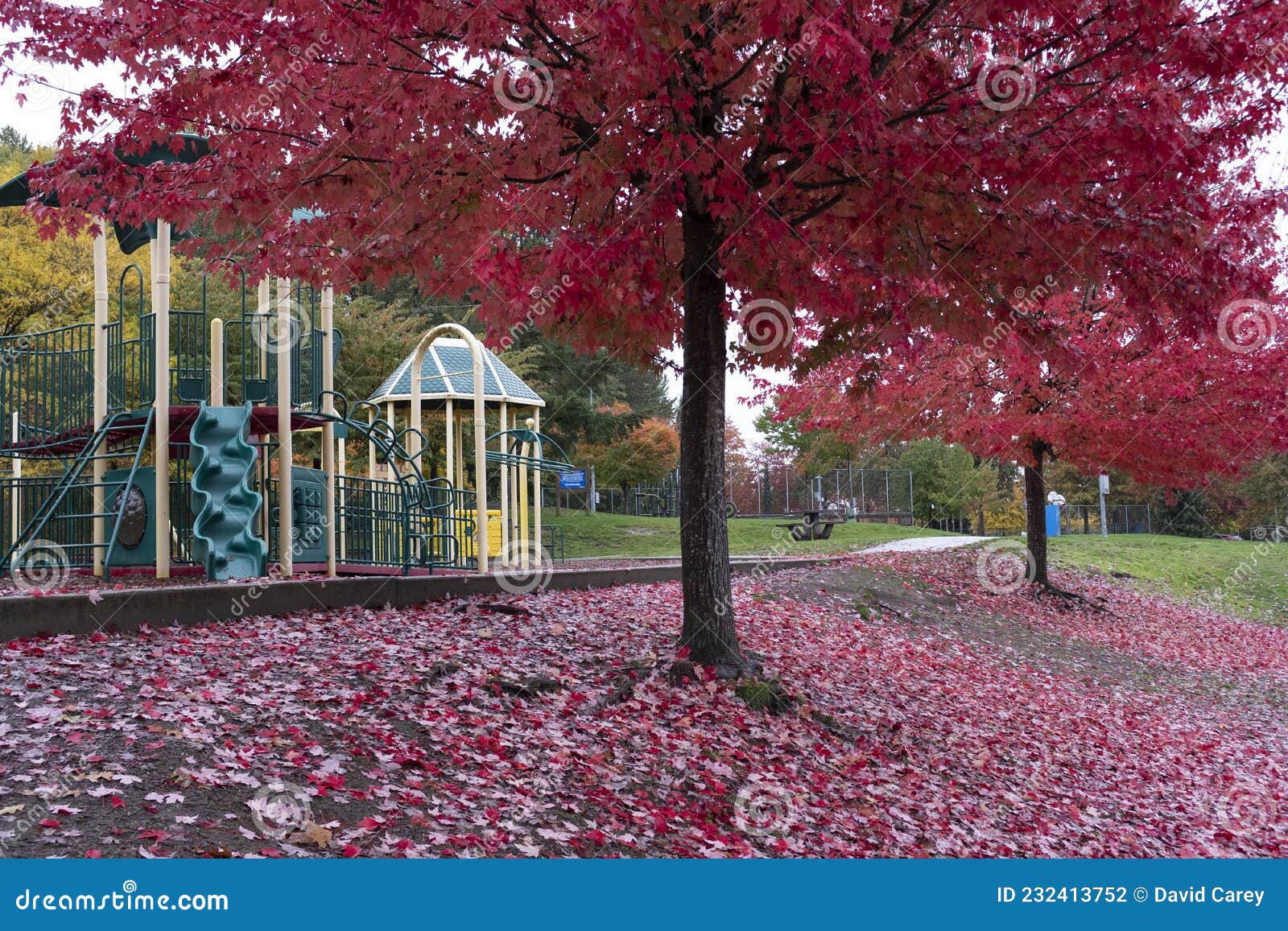 Coquitlam Town Centre Park Stock Photos - Free & Royalty-Free Stock ...