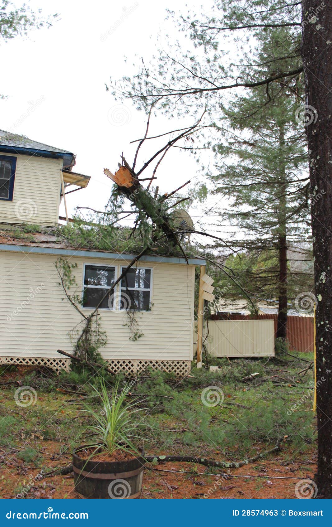 Tree fallen on house editorial stock photo. Image of fallen - 28574963