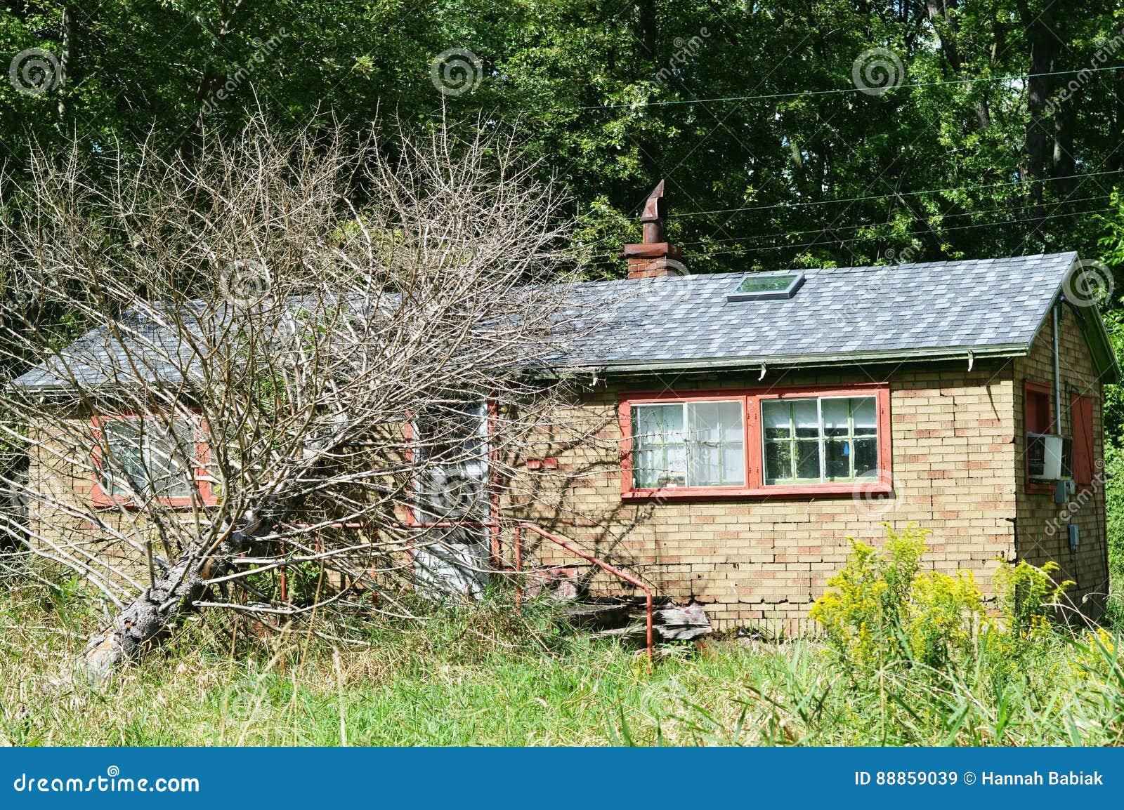 Tree Fallen on House stock image. Image of habitat, abandoned - 88859039