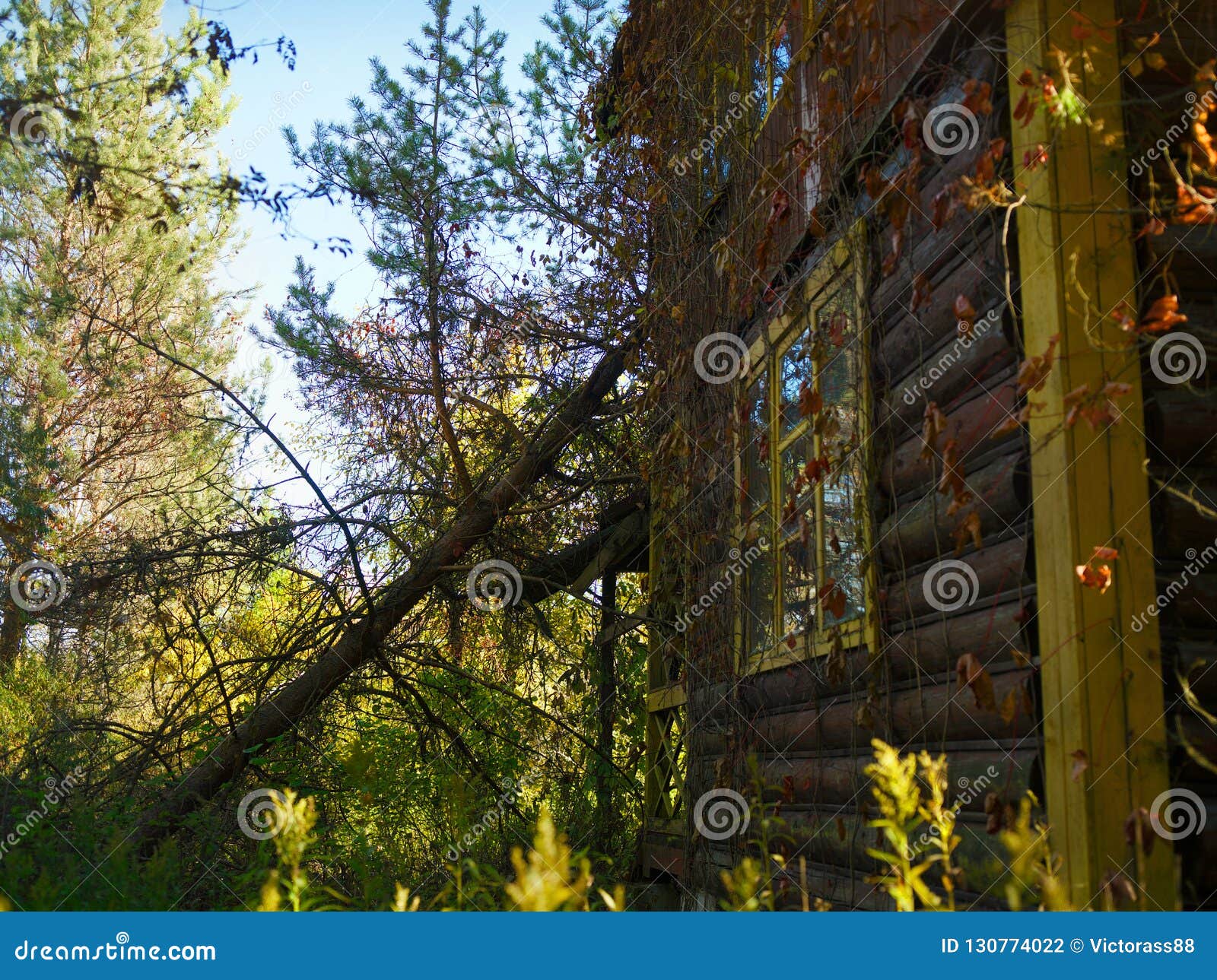 Tree Fallen House Stock Photos - Download 2,575 Royalty Free Photos