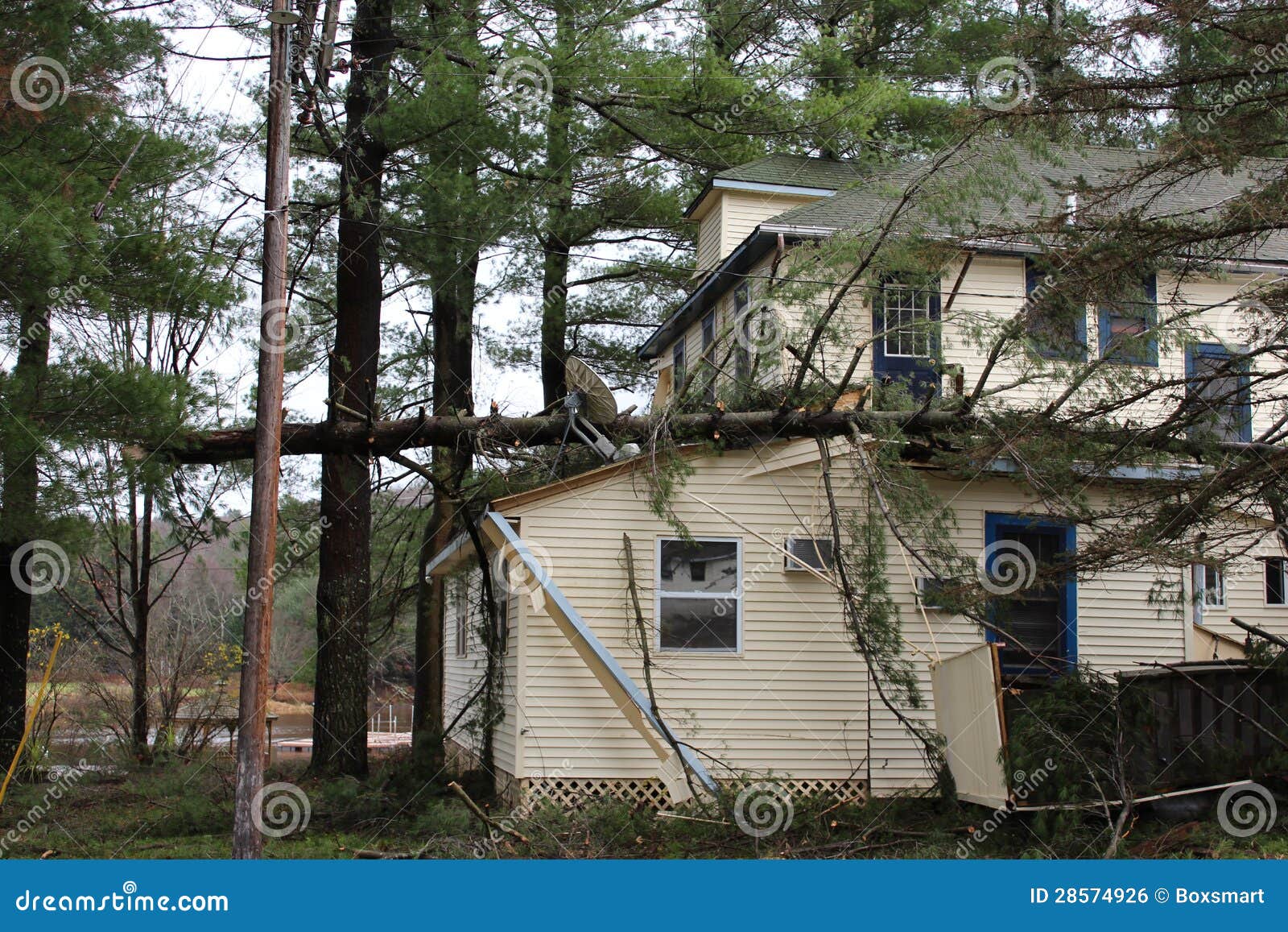 Tree Fallen on Roof editorial photo. Image of disaster - 28574926