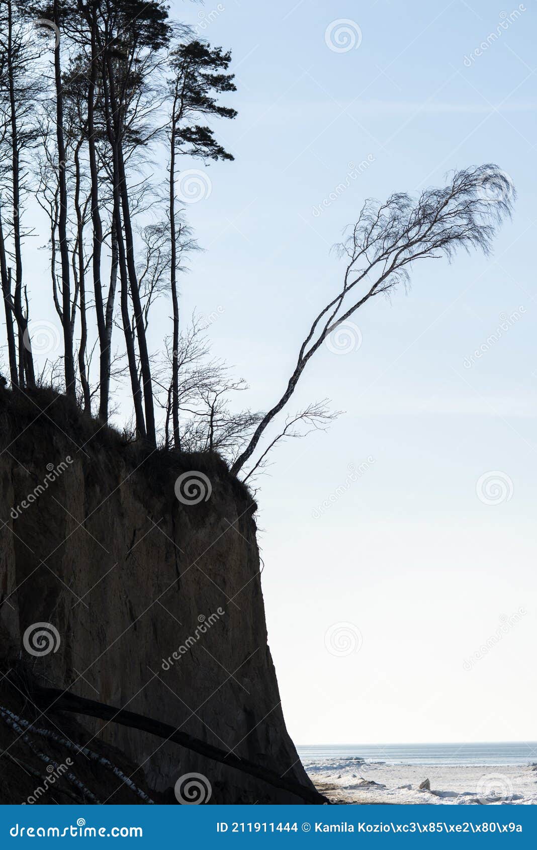 Tree Falling Off a Cliff, Changes in the Natural Environment Stock ...
