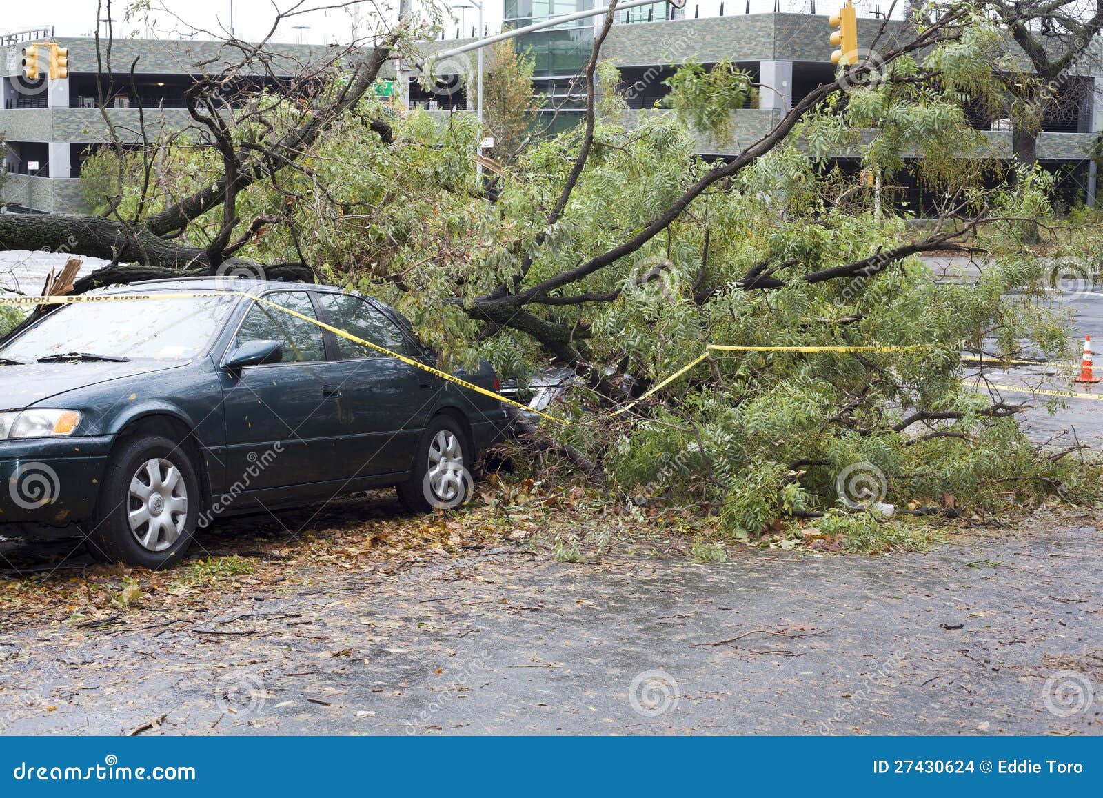 Tree falls on car editorial stock image. Image of weather - 27430624