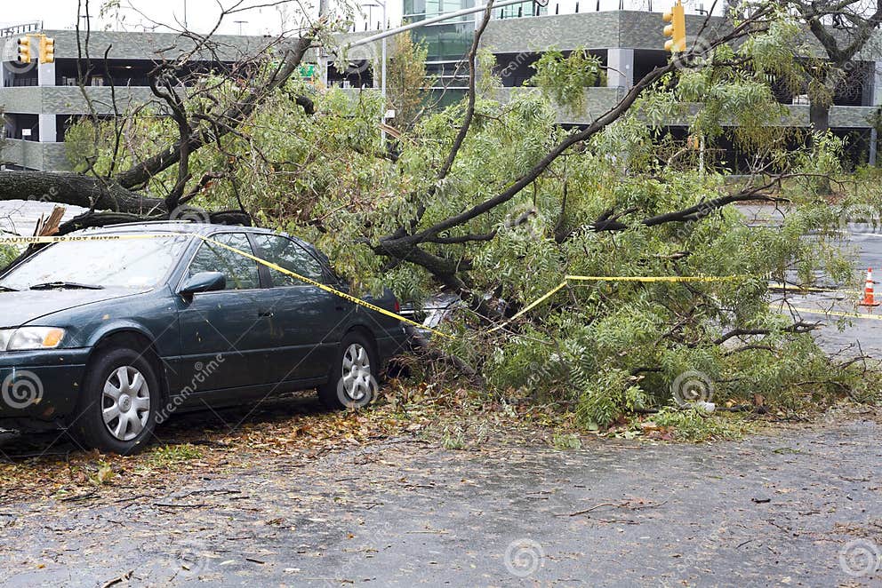 Tree falls on car editorial stock image. Image of weather - 27430624