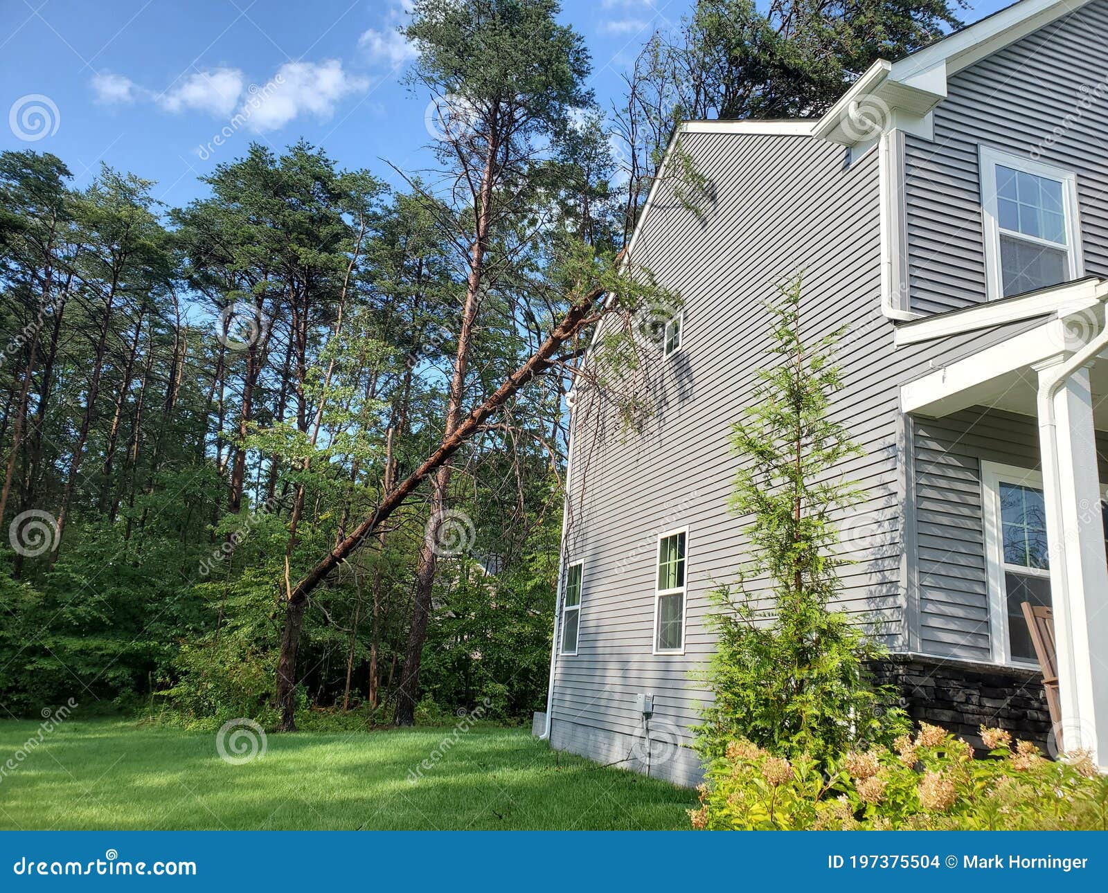 Tree Fell on a House Timber Pine Stock Photo - Image of chapel, farm ...