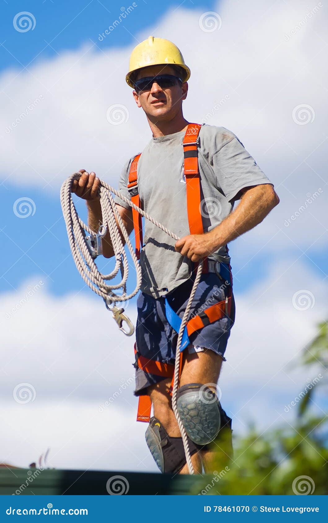 Tree Feller at work stock photo. Image of hardhat, safety - 78461070