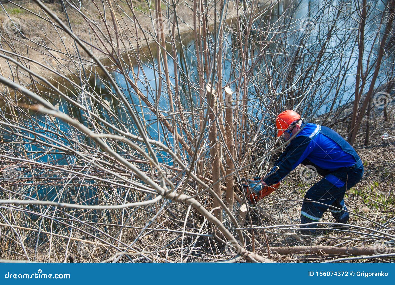 Tree Felling with a Large Chainsaw Editorial Photography - Image of ...