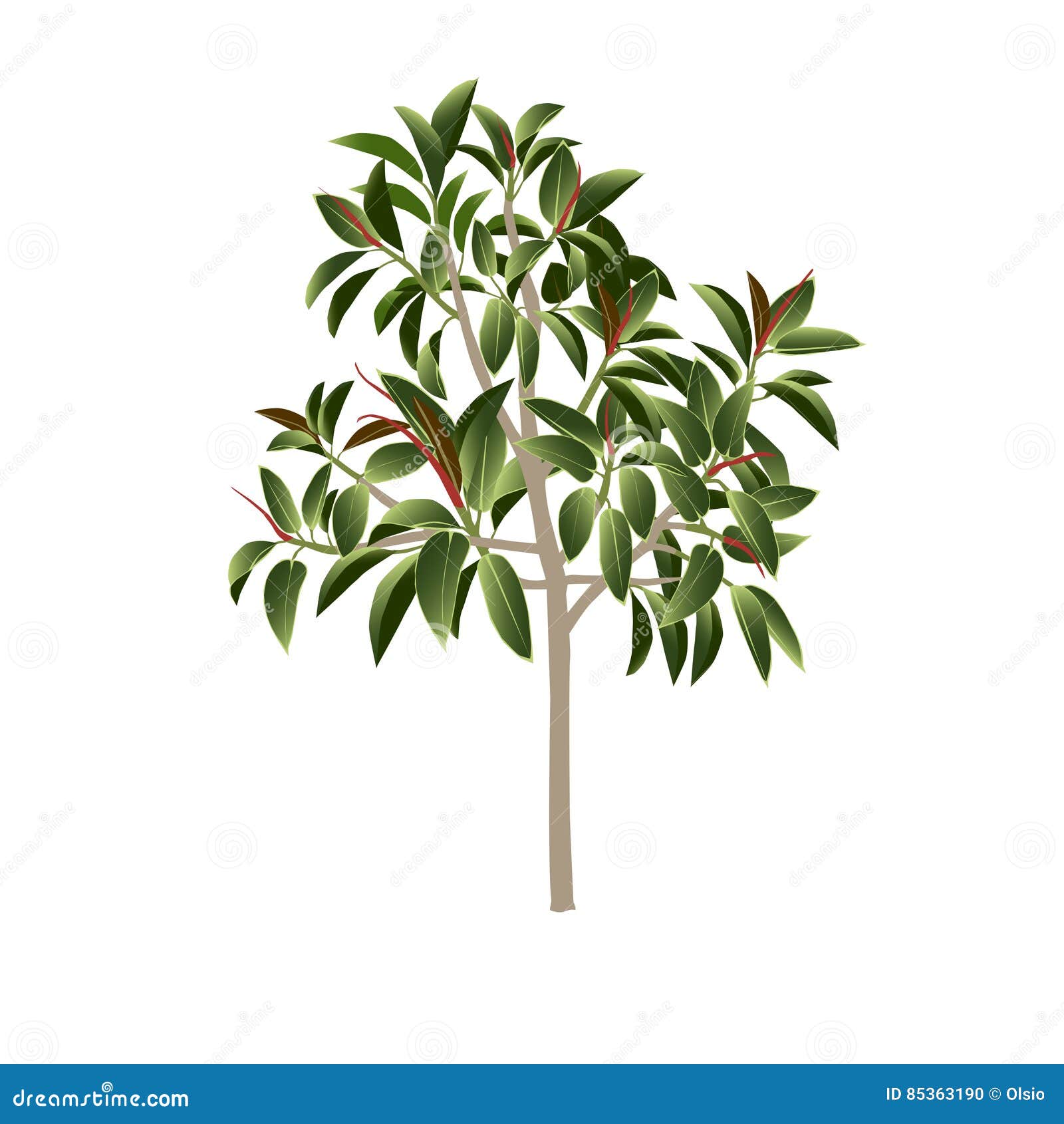 Ficus Tree Silhouette With Leaves Vector Illustration | CartoonDealer ...