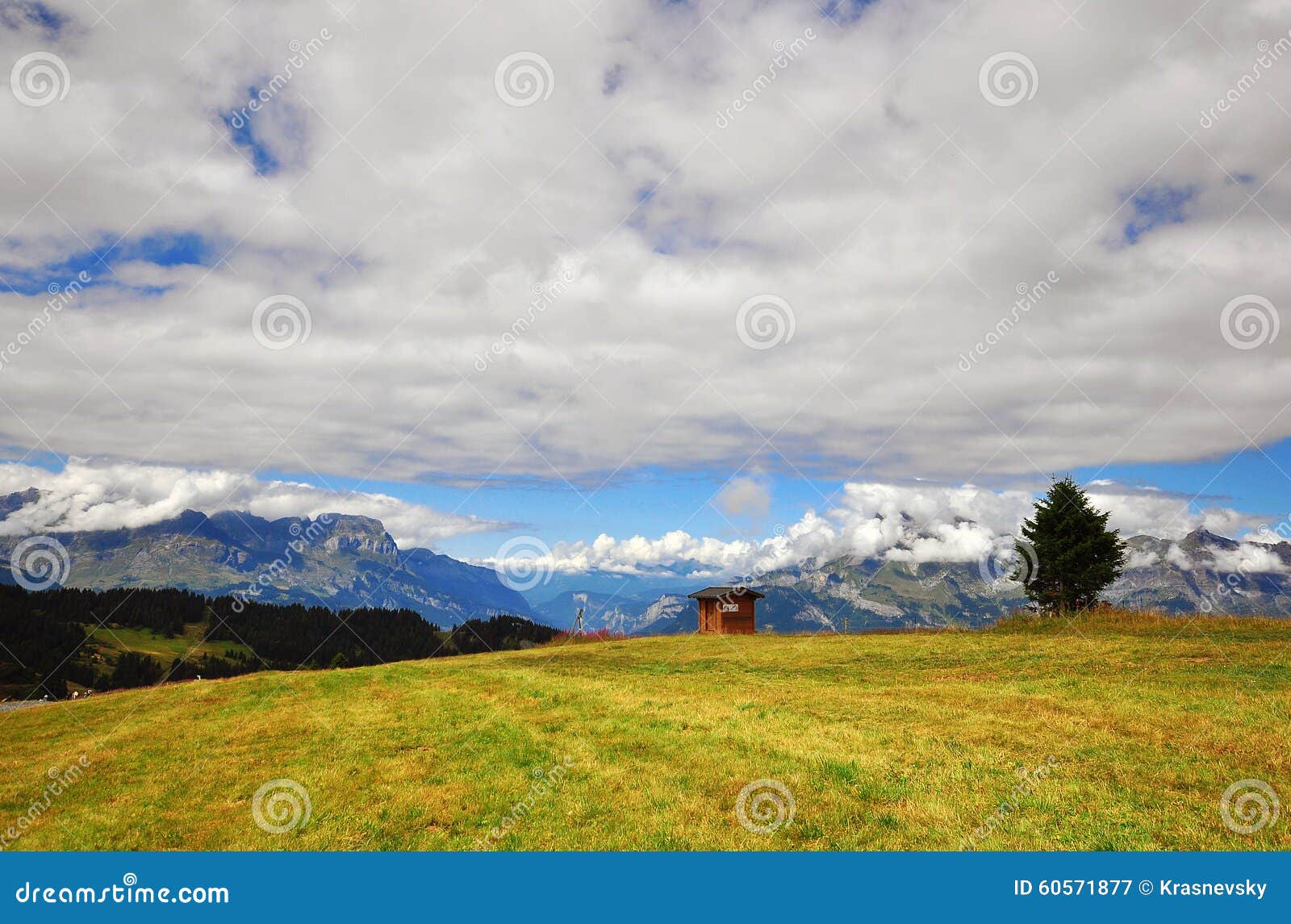 Tree in the field stock image. Image of france, landscape - 60571877