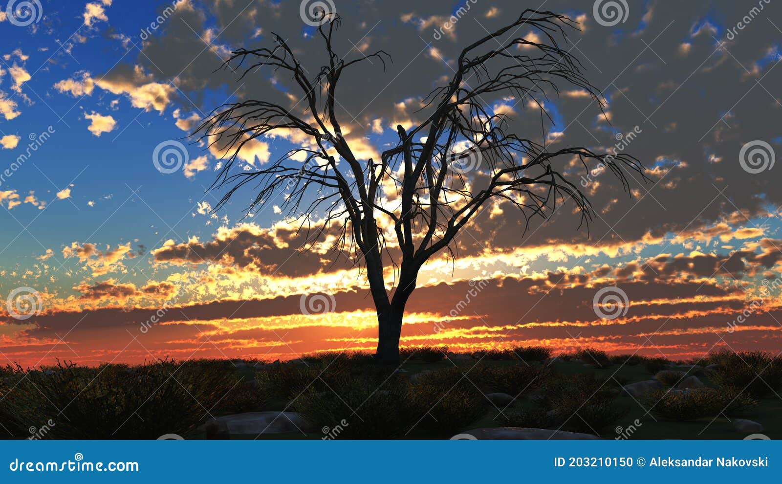 Tree on Field Sunrise 3d Render Stock Illustration - Illustration of ...