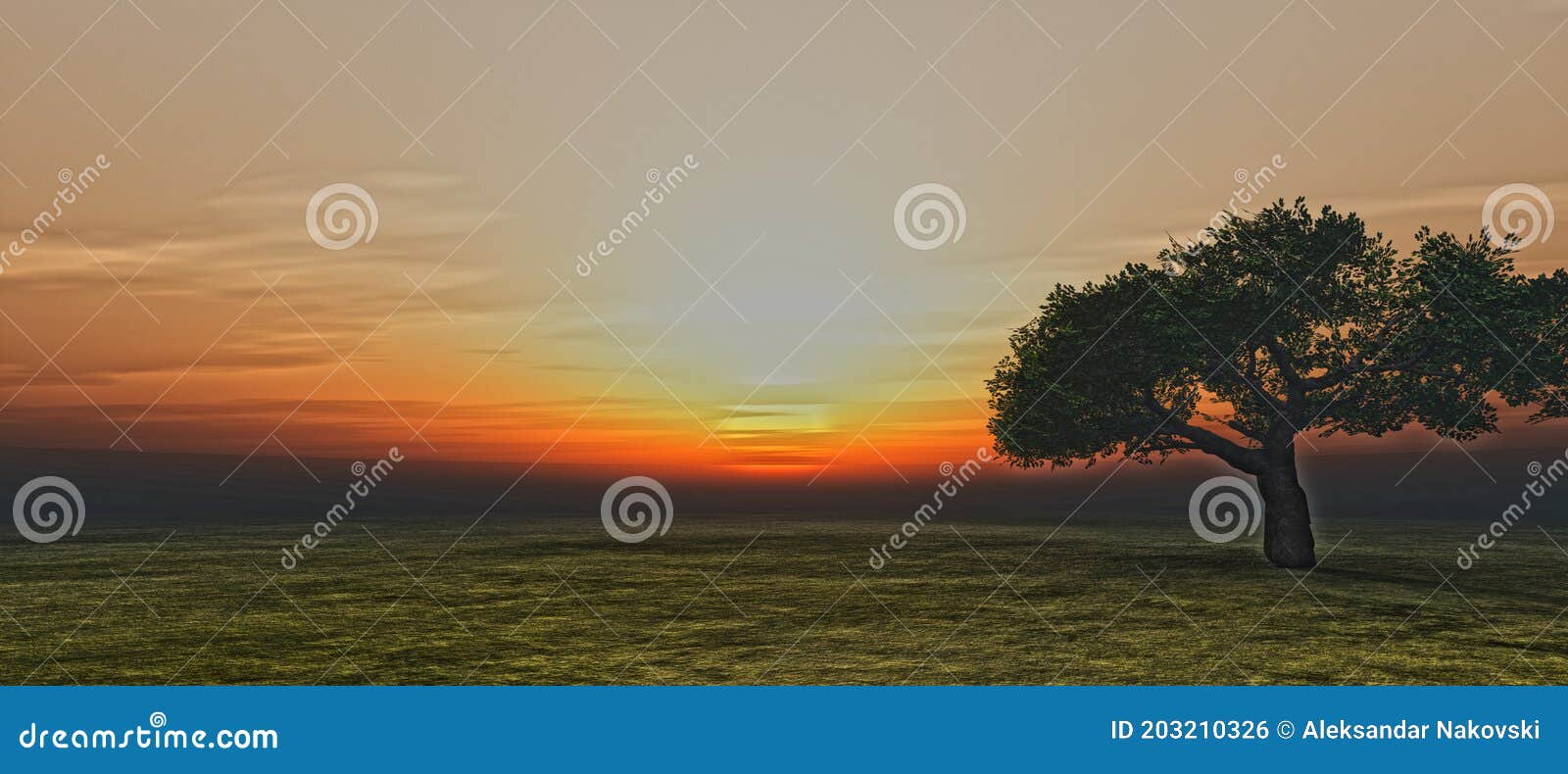 Tree on Field Sunrise 3d Render Stock Illustration - Illustration of ...
