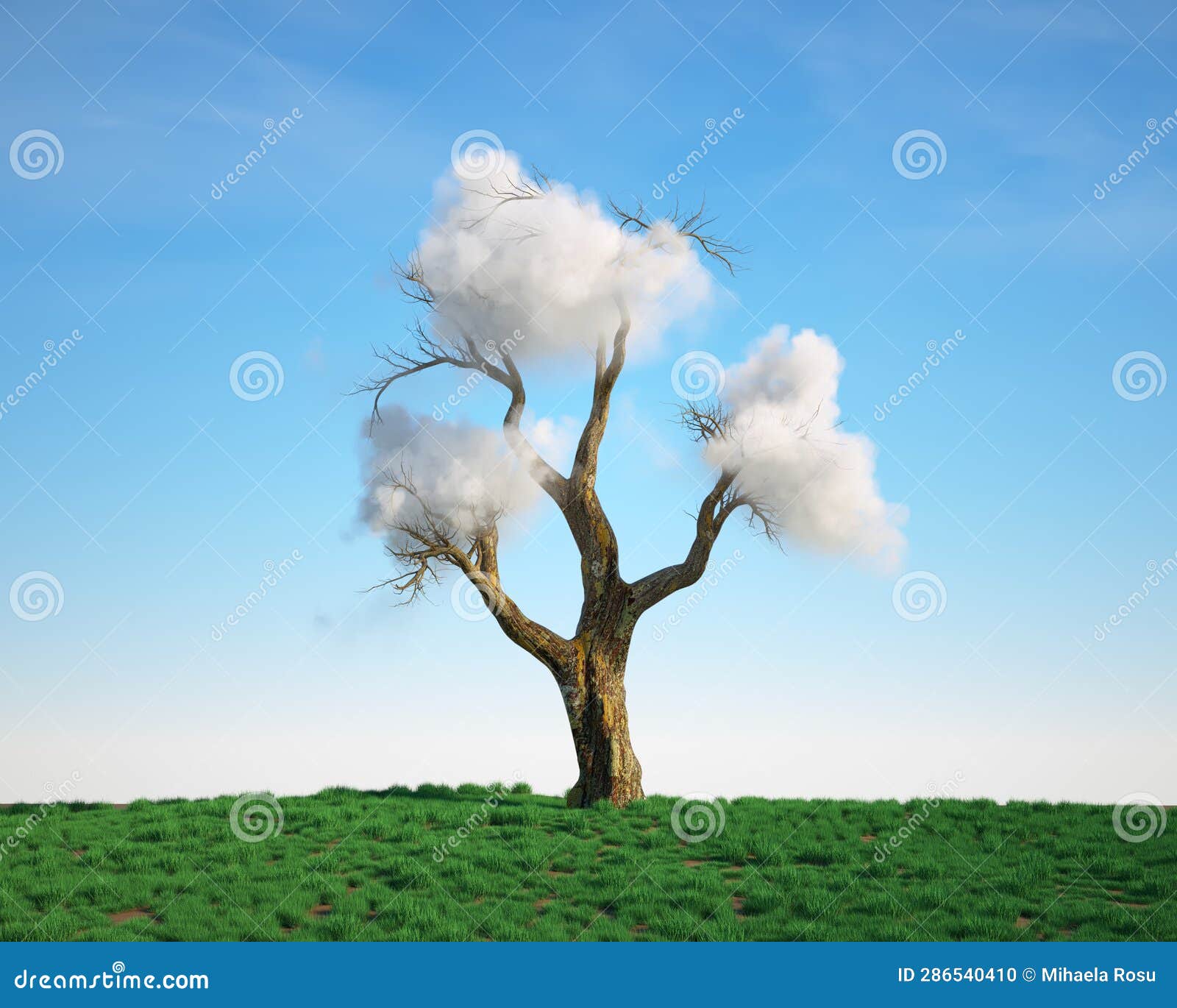 Tree on Field with White Cloud. Dream Big and Achievement Concept Stock ...