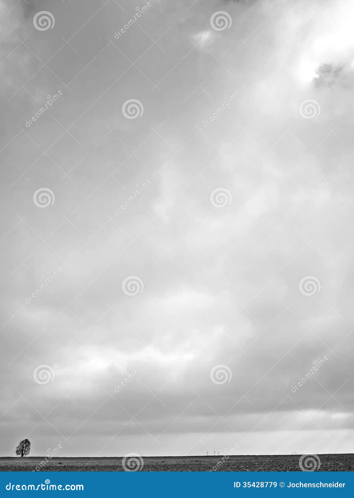 Tree on a field stock image. Image of blue, quiet, single - 35428779