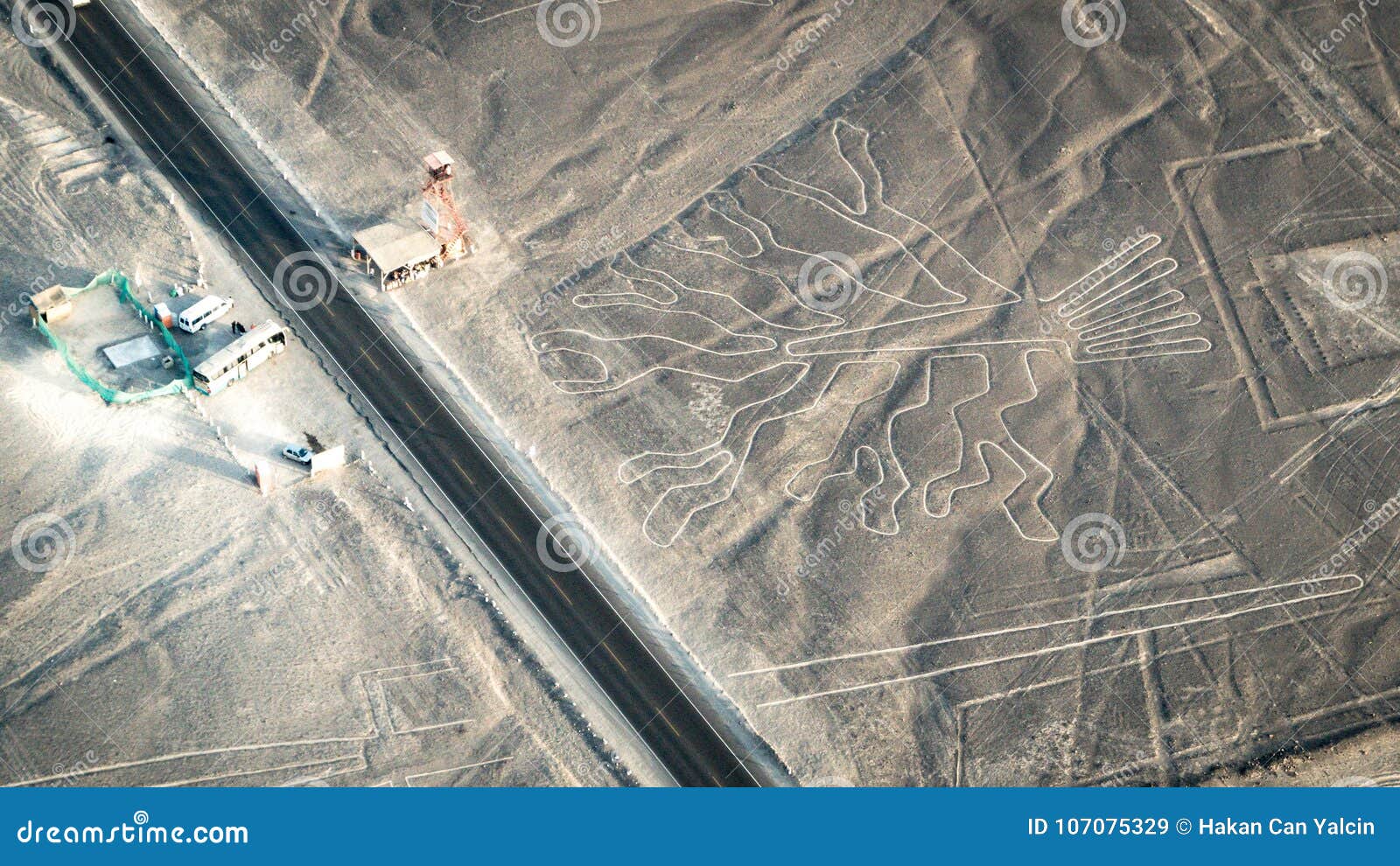 The Tree Figure As Seen in the Nasca Lines, Nazca, Peru Editorial Stock ...
