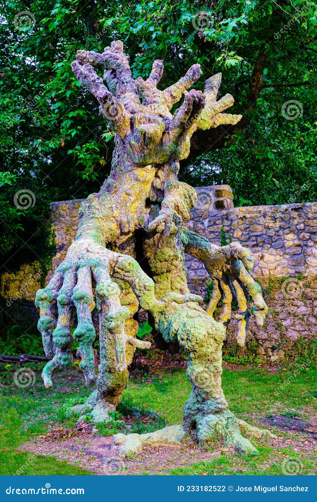 Tree Figure in the Shape of a Person, Representing an Enchanted Forest ...