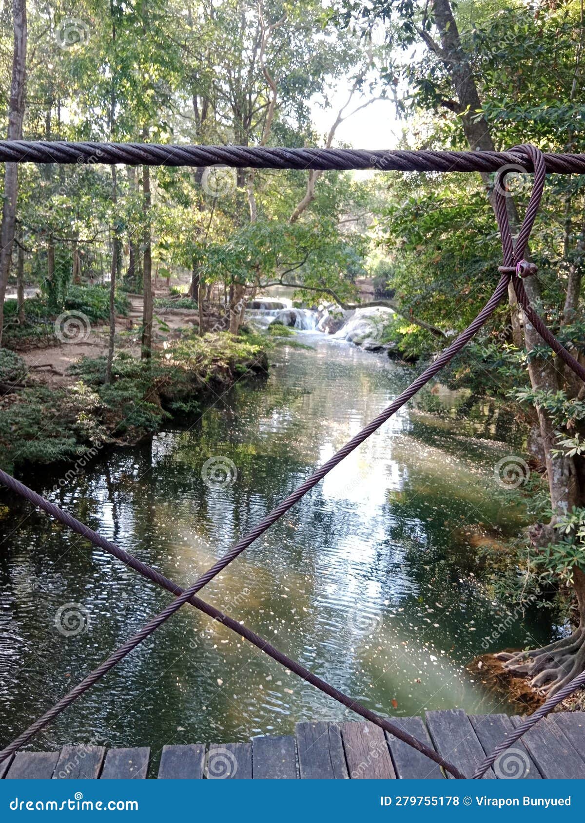Tree filled waterfall stock photo. Image of tree, filled - 279755178